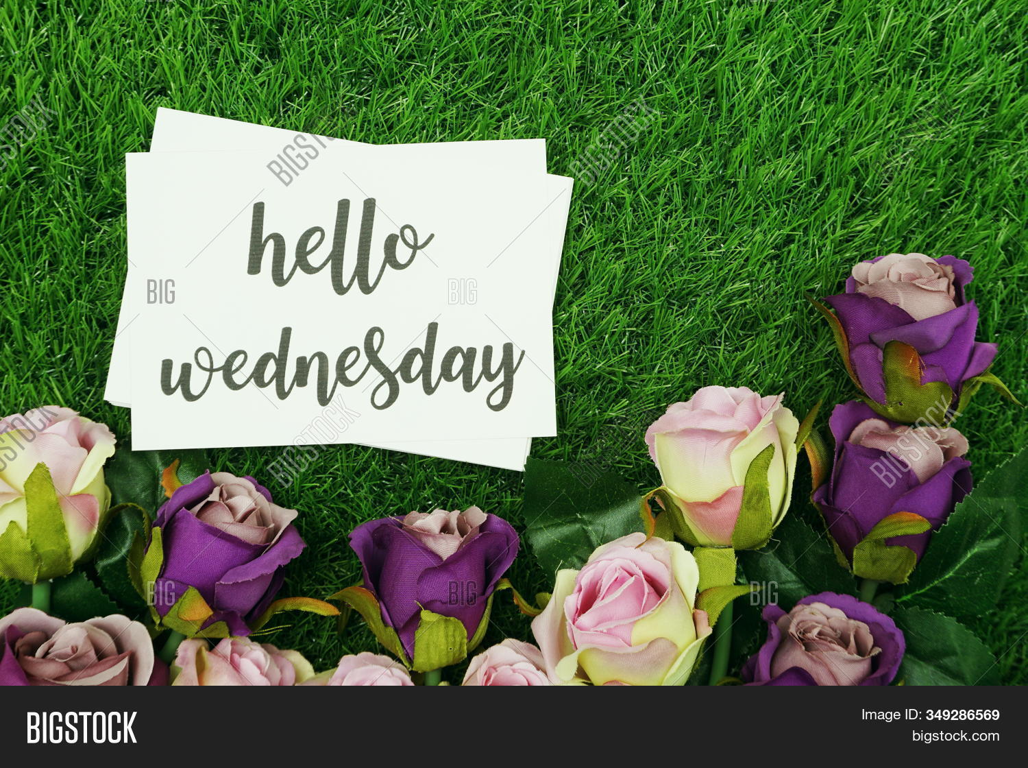 Hello Wednesday Card Image & Photo (Free Trial) | Bigstock