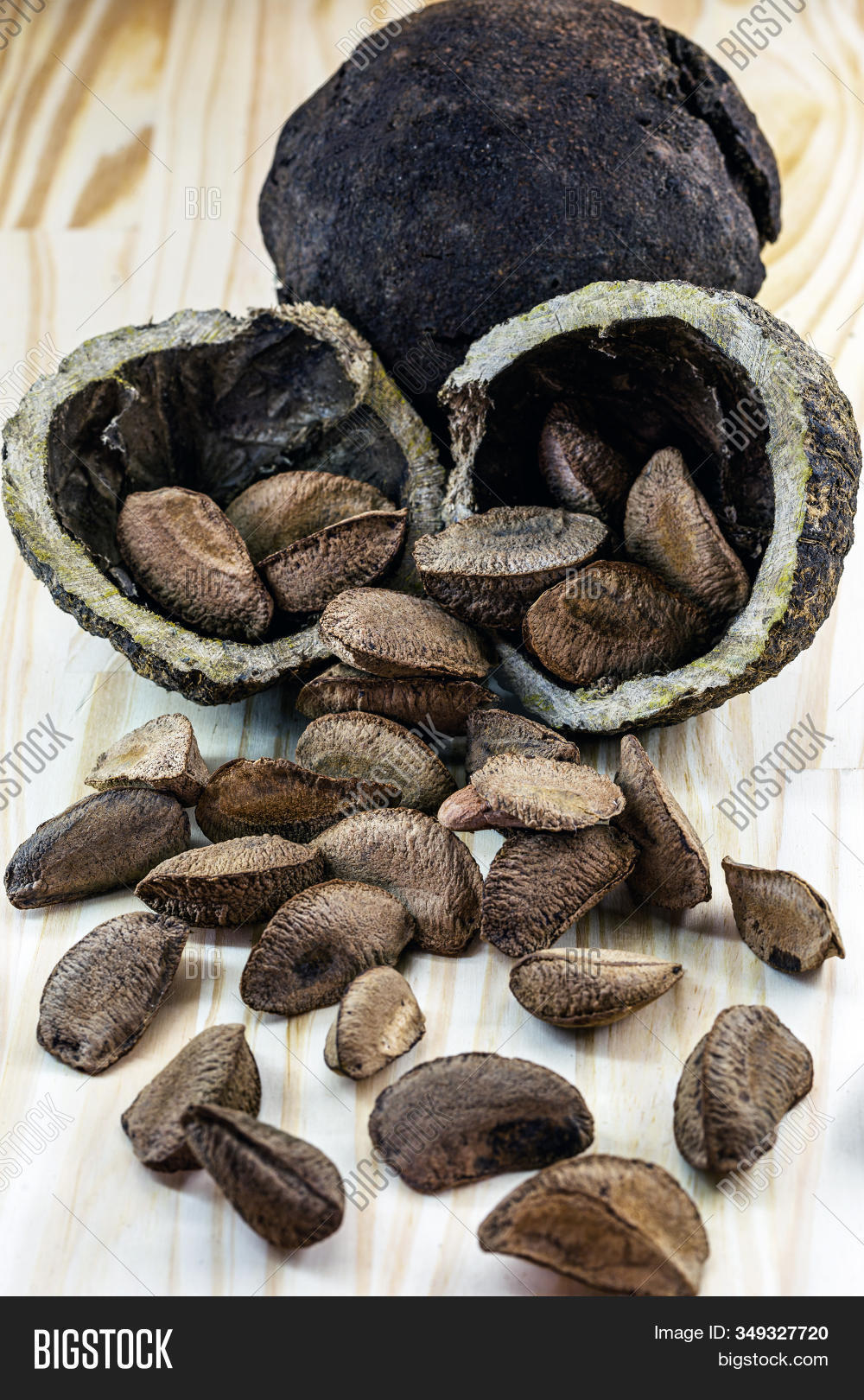 Brazil Nut, Shell. Image & Photo (Free Trial) | Bigstock