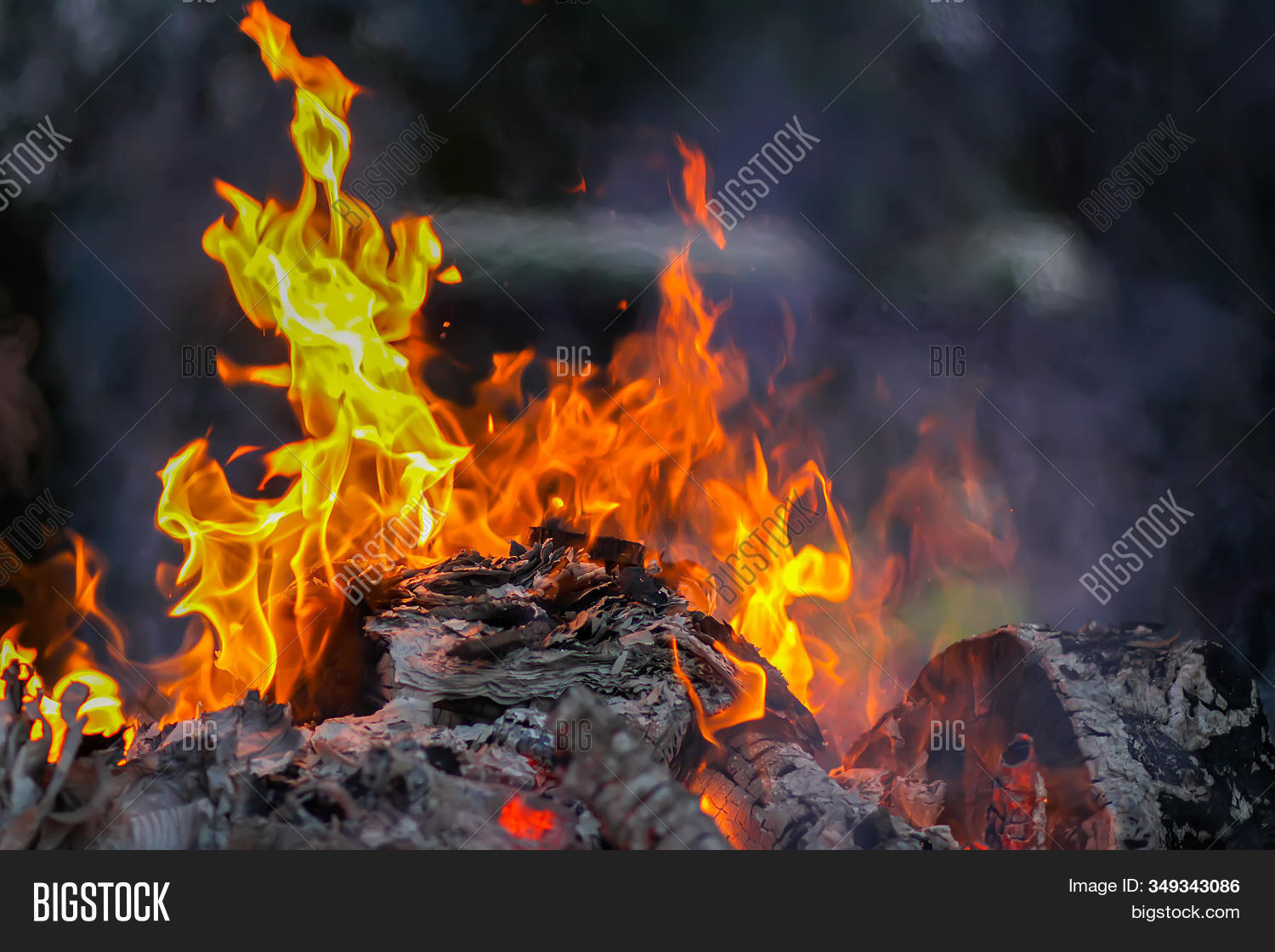 Bonfire Camp Summer Image & Photo (Free Trial) | Bigstock