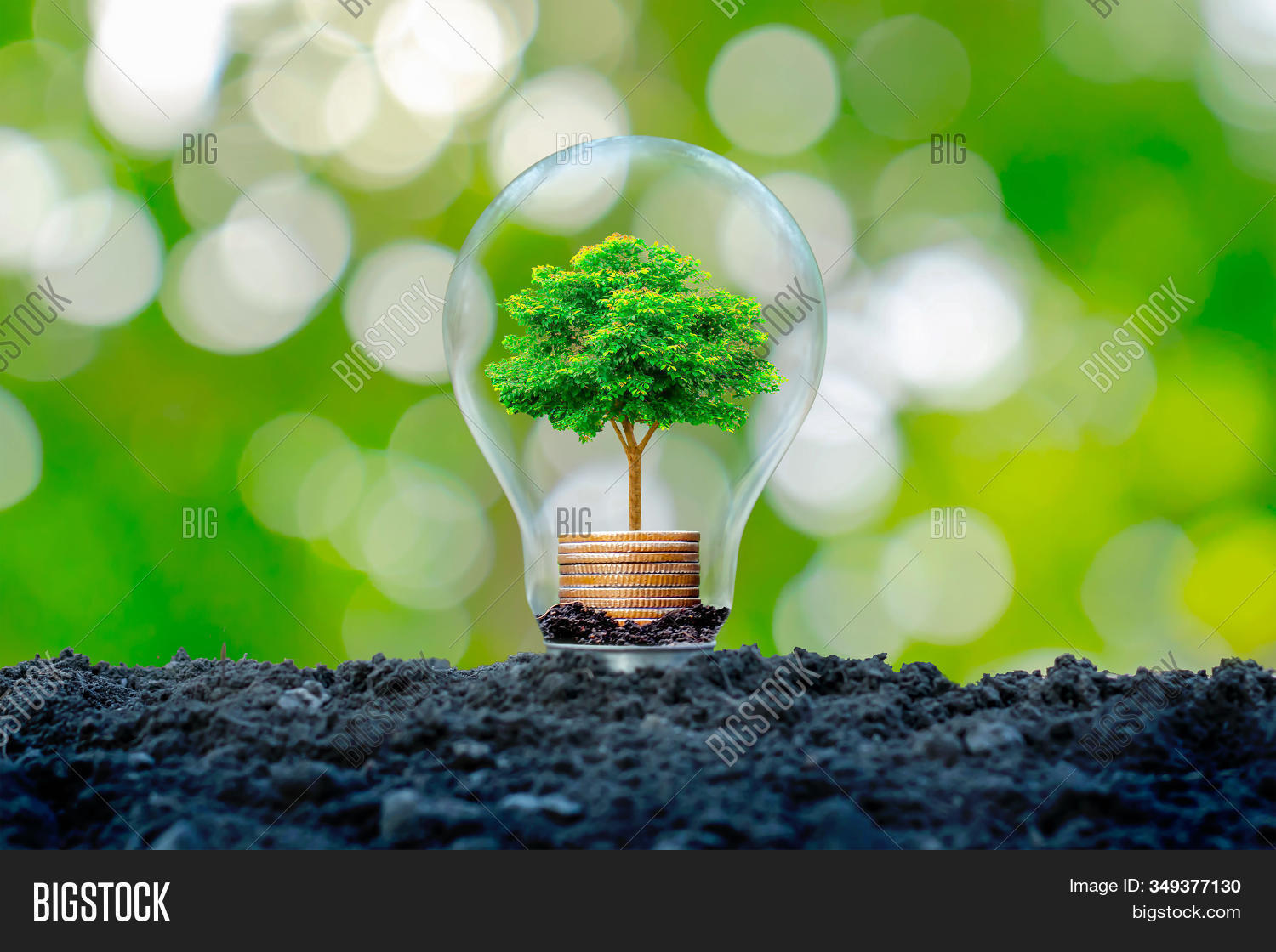 Green Light Bulb Money