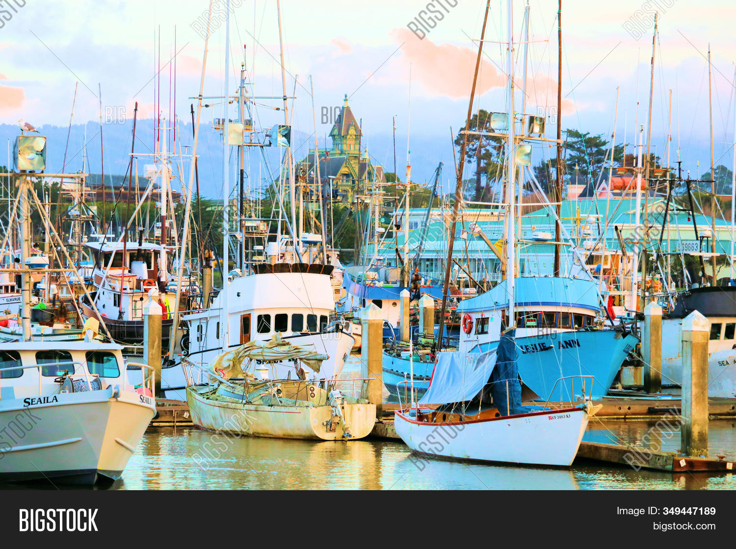 January 16, 2020 Image & Photo (Free Trial) | Bigstock