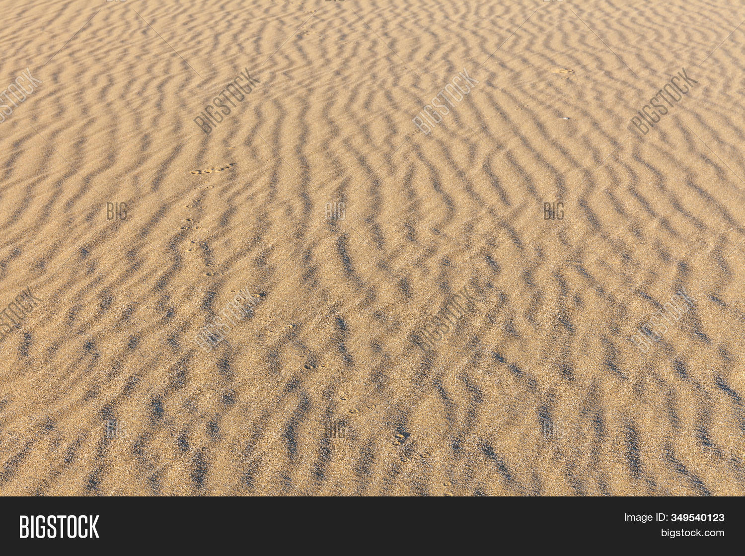 Sand Texture. Sandy Image & Photo (Free Trial) | Bigstock