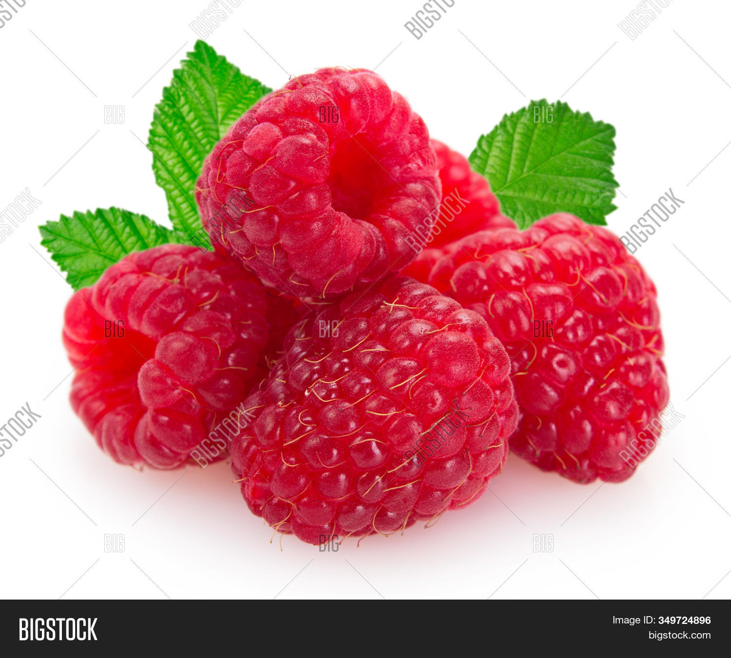 Fresh Raspberry Image & Photo (Free Trial) | Bigstock