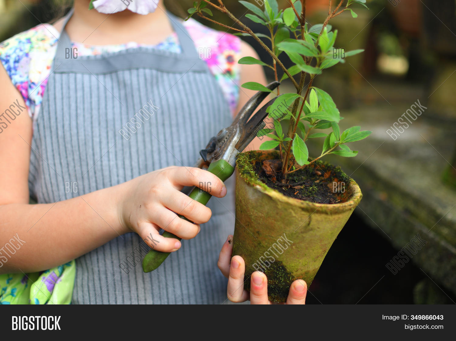 Child Planting Spring Image & Photo (Free Trial) | Bigstock