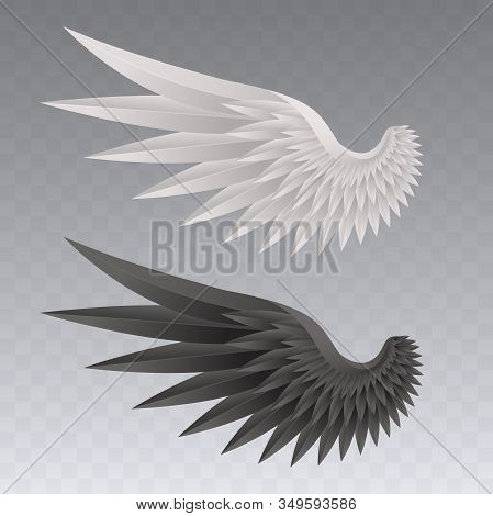 Realistic Bird Wings Vector & Photo (Free Trial) | Bigstock