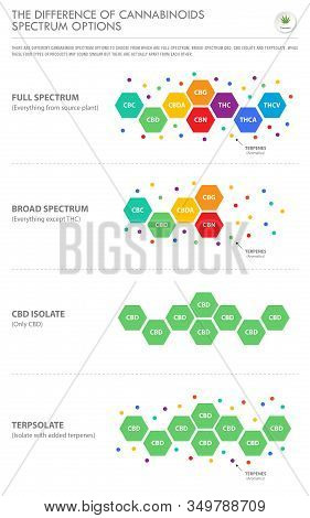 Difference Vector & Photo (Free Trial) | Bigstock