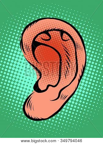 Ear Part Body, Vector & Photo (Free Trial) | Bigstock