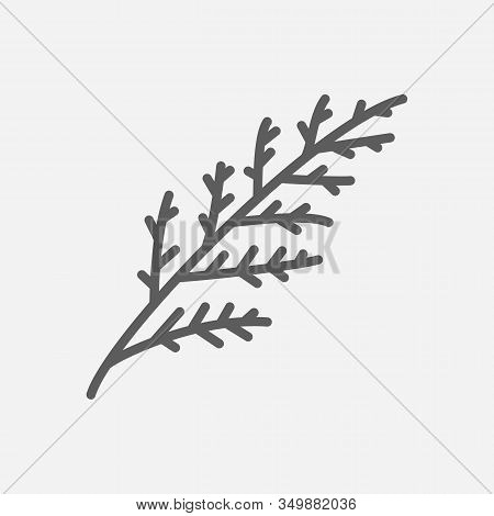 Cypress Leaf Icon Vector & Photo (Free Trial) | Bigstock