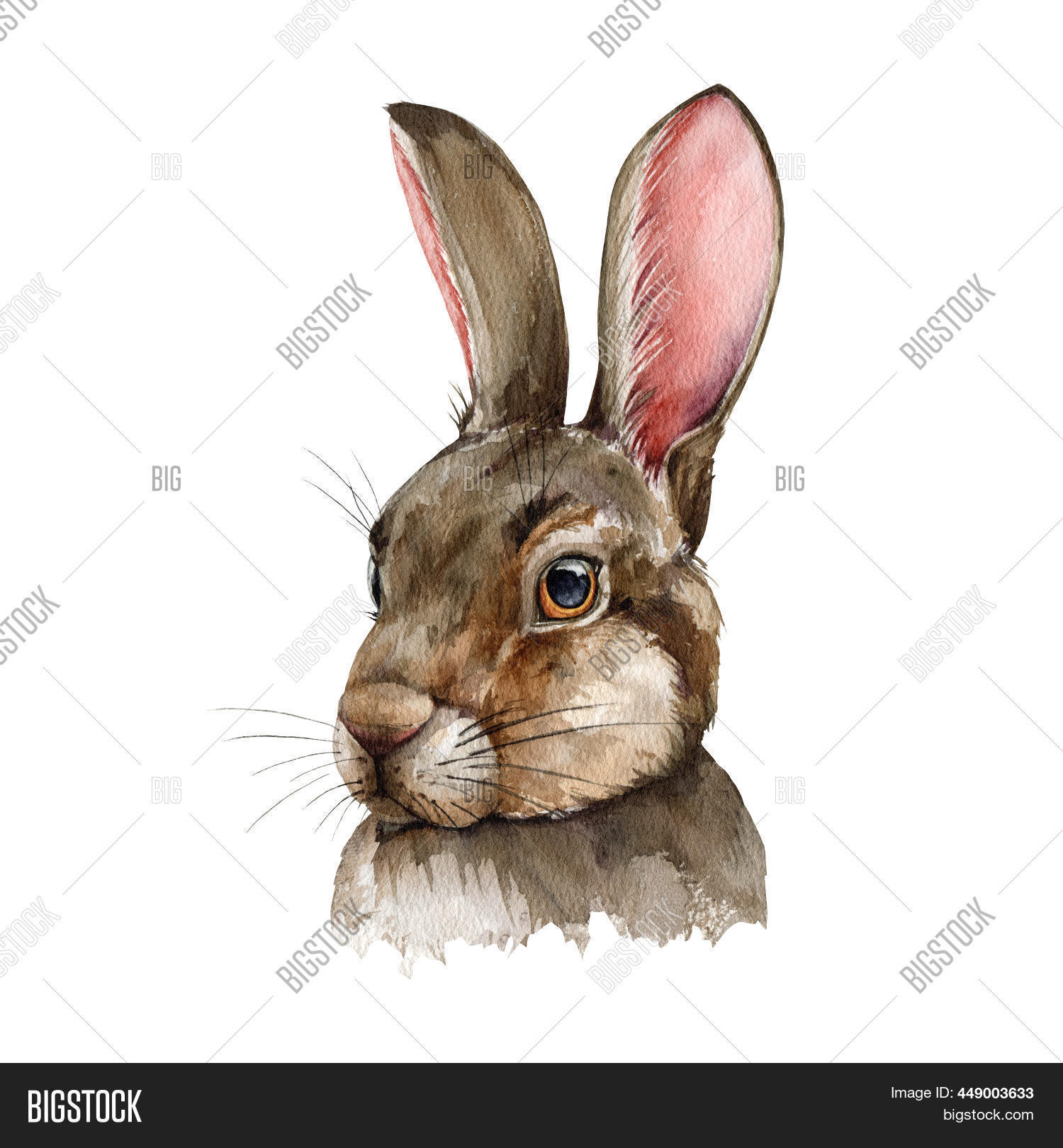 Cute Bunny Portrait. Image & Photo (Free Trial) | Bigstock