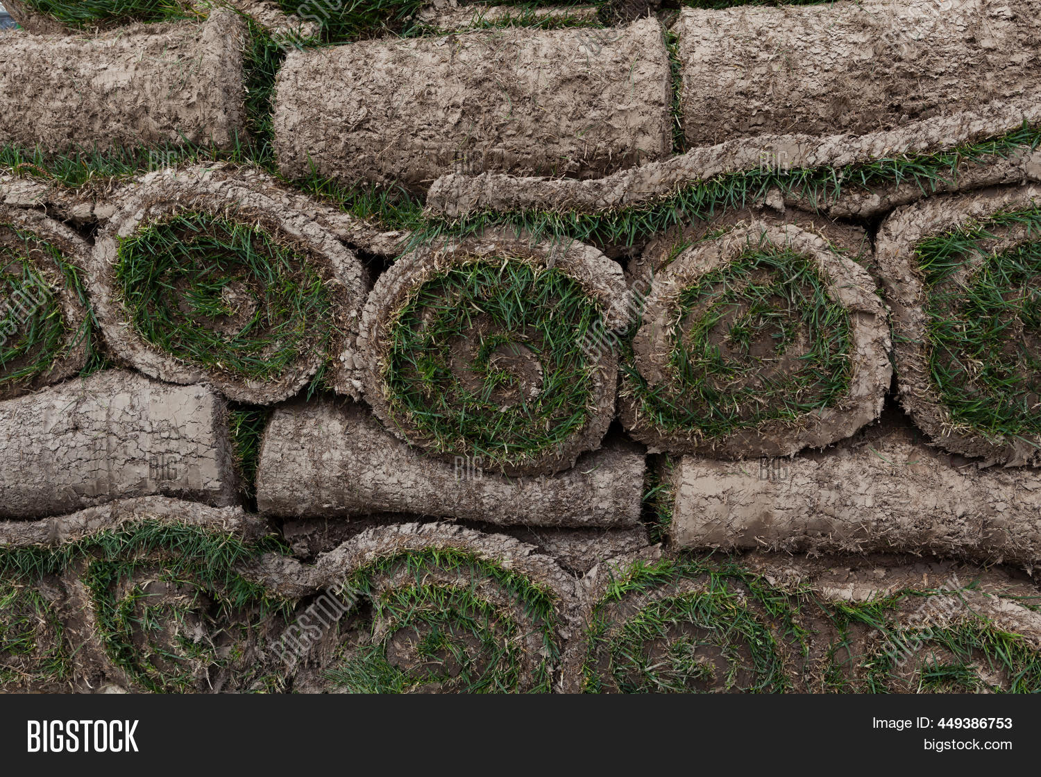 Rolls Turf Natural Image & Photo (Free Trial) | Bigstock