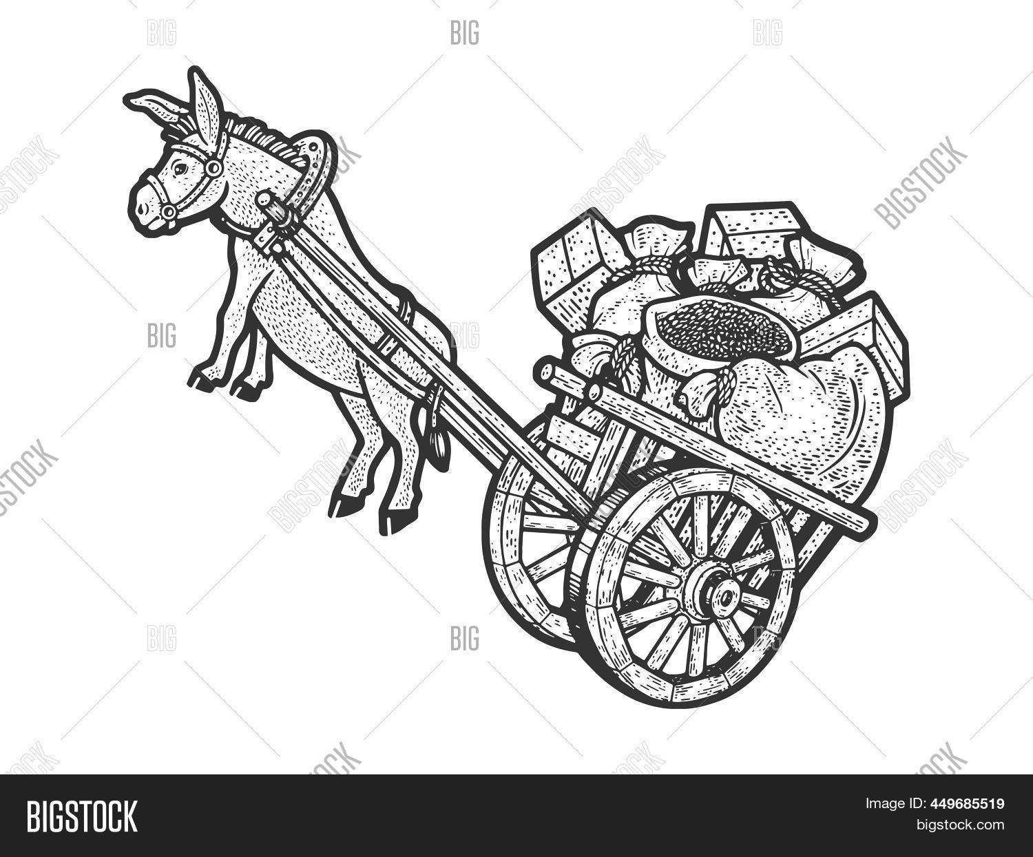 Overloaded Donkey Cart Image & Photo (Free Trial) | Bigstock