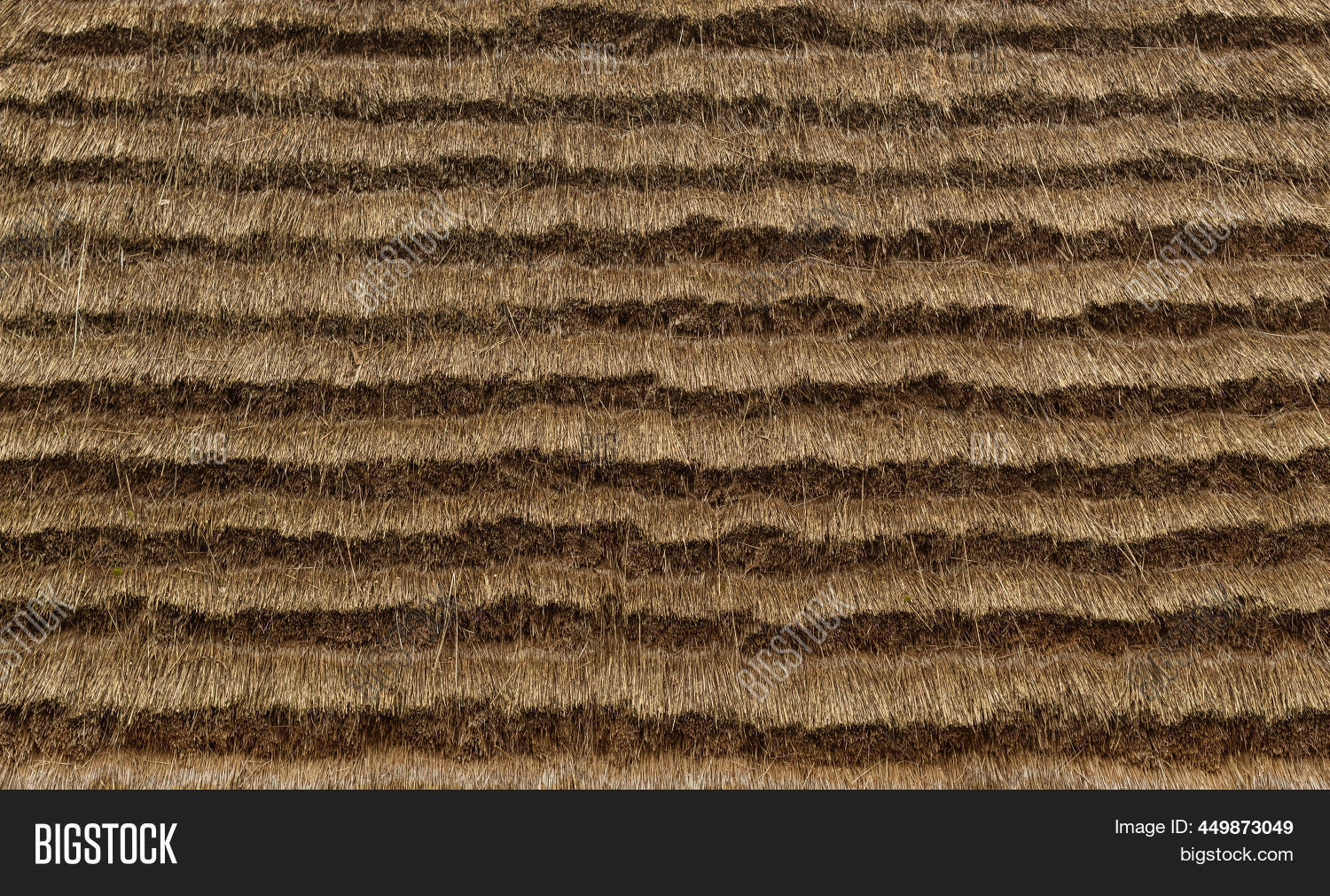 Thatch Roof Texture. Image & Photo (Free Trial) | Bigstock