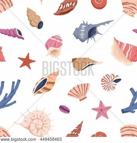 Sea Shells Pattern. Vector & Photo (Free Trial) | Bigstock