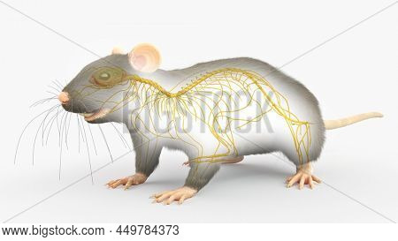 3d Rendered Image & Photo (Free Trial) | Bigstock