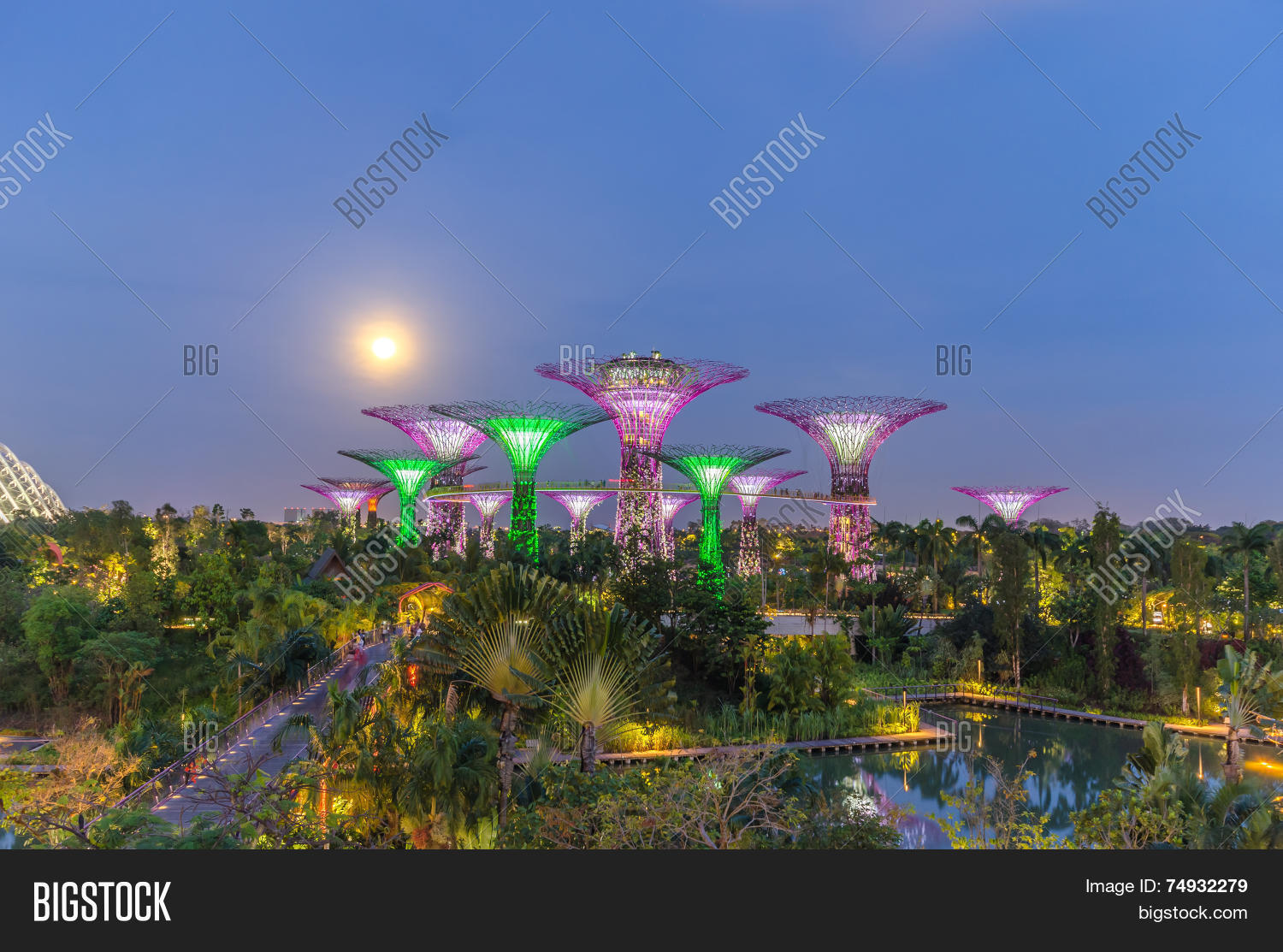 Night View Supertree Image & Photo (Free Trial) | Bigstock