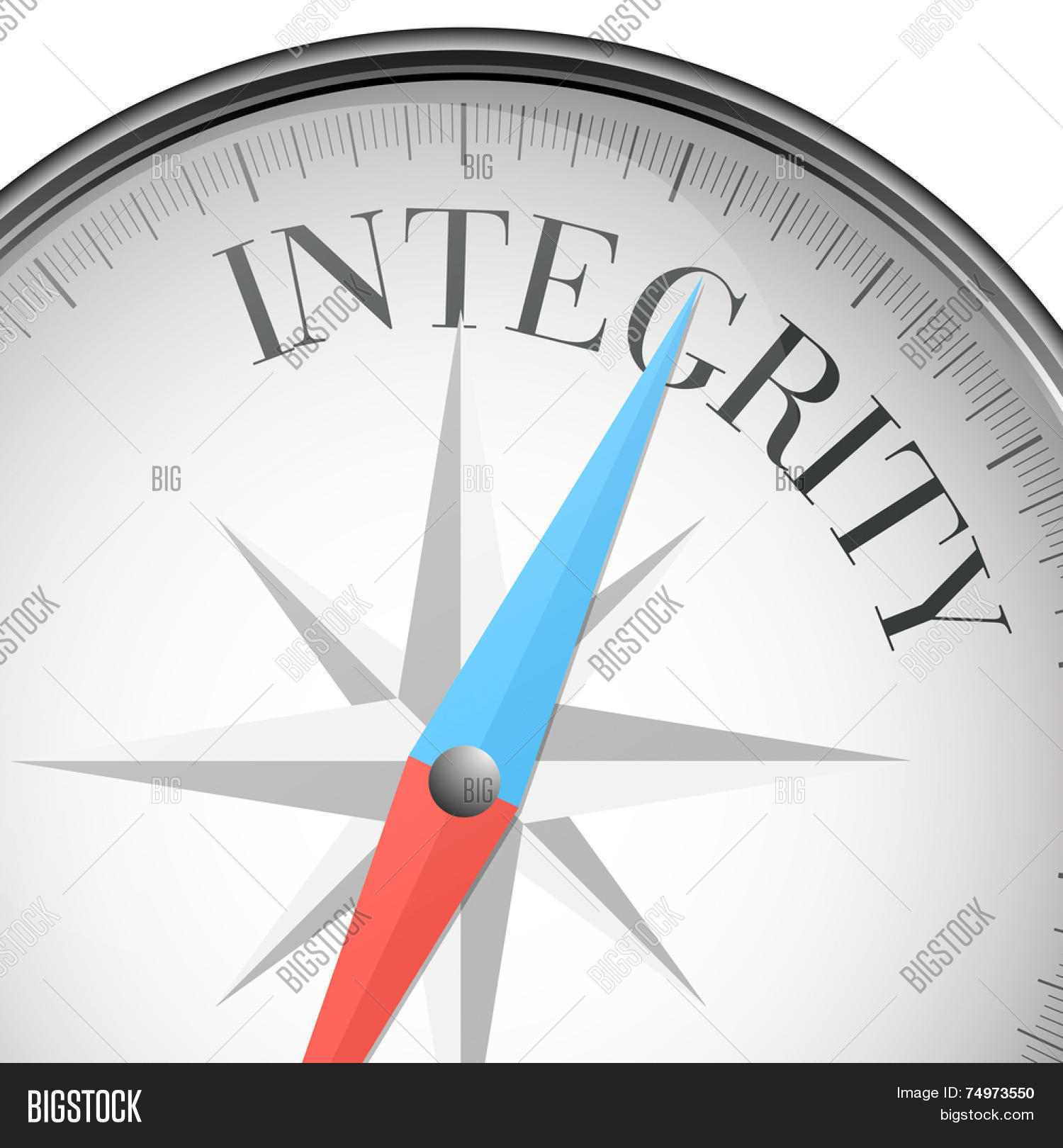 Detailed Illustration Vector & Photo (Free Trial) | Bigstock