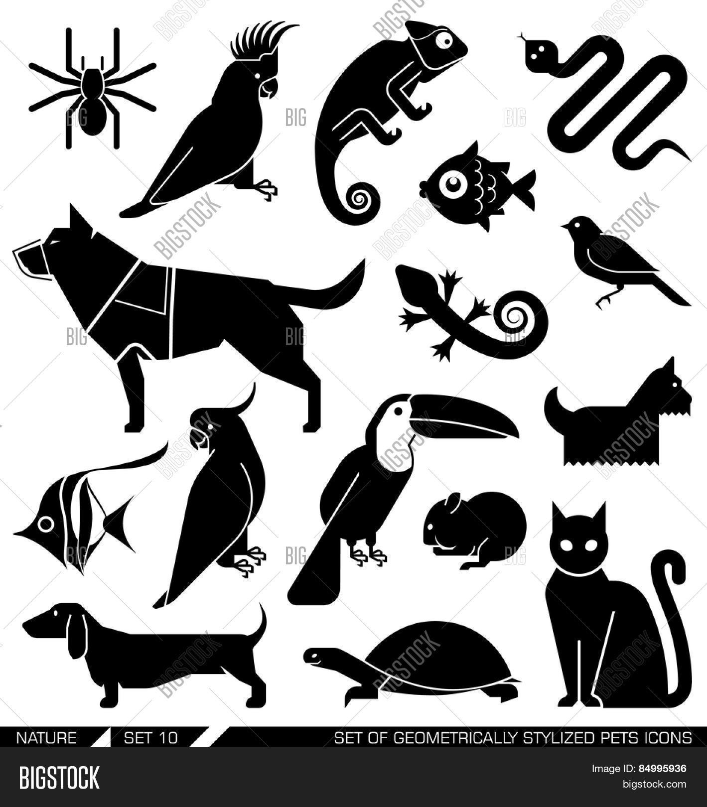 Set Various Pet Icons Vector & Photo (Free Trial) | Bigstock