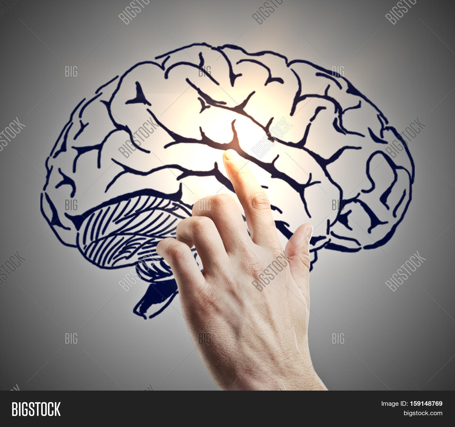 Hand Pointing Brain Image & Photo (Free Trial) | Bigstock