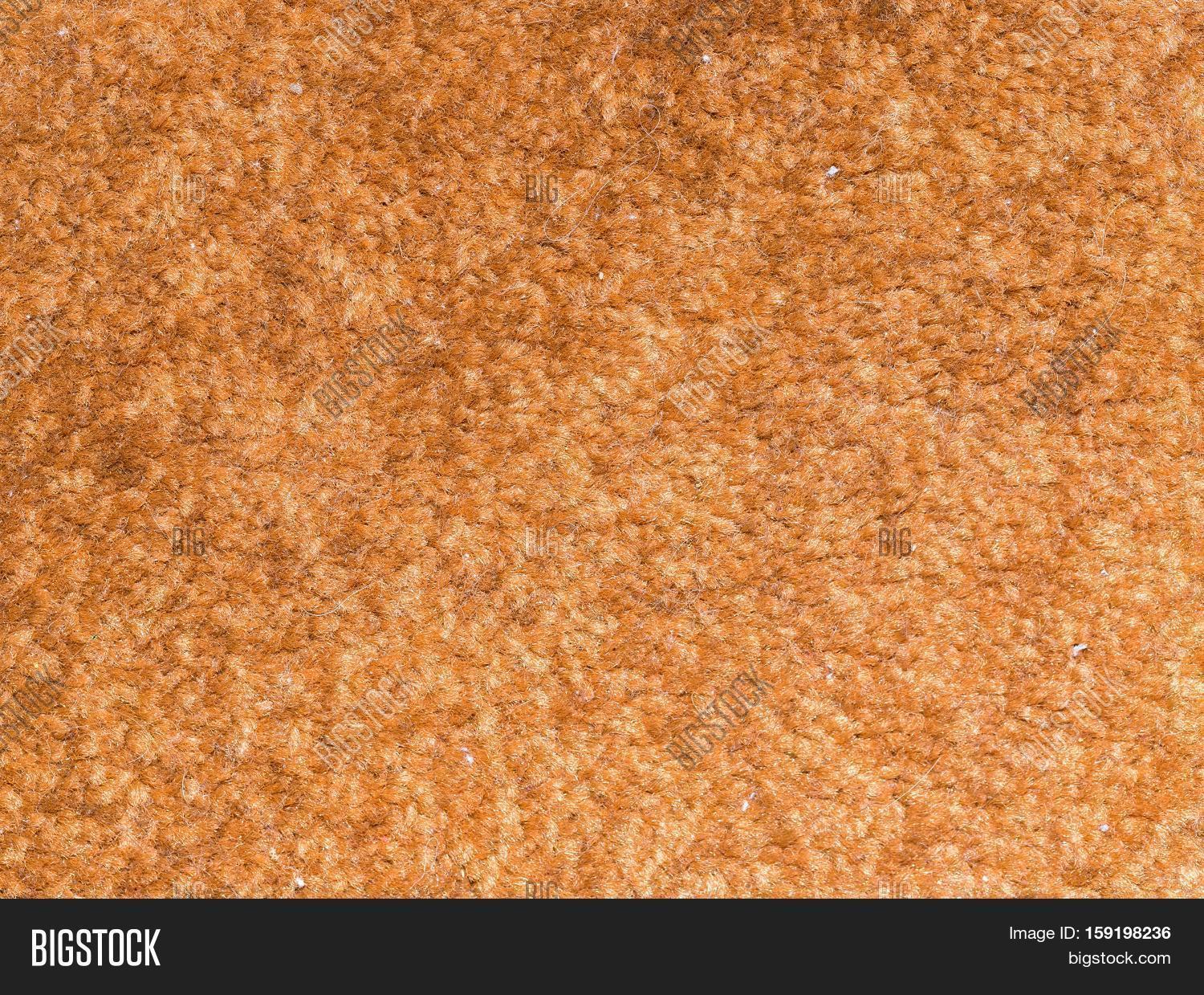 Background Carpet Image & Photo (Free Trial) | Bigstock