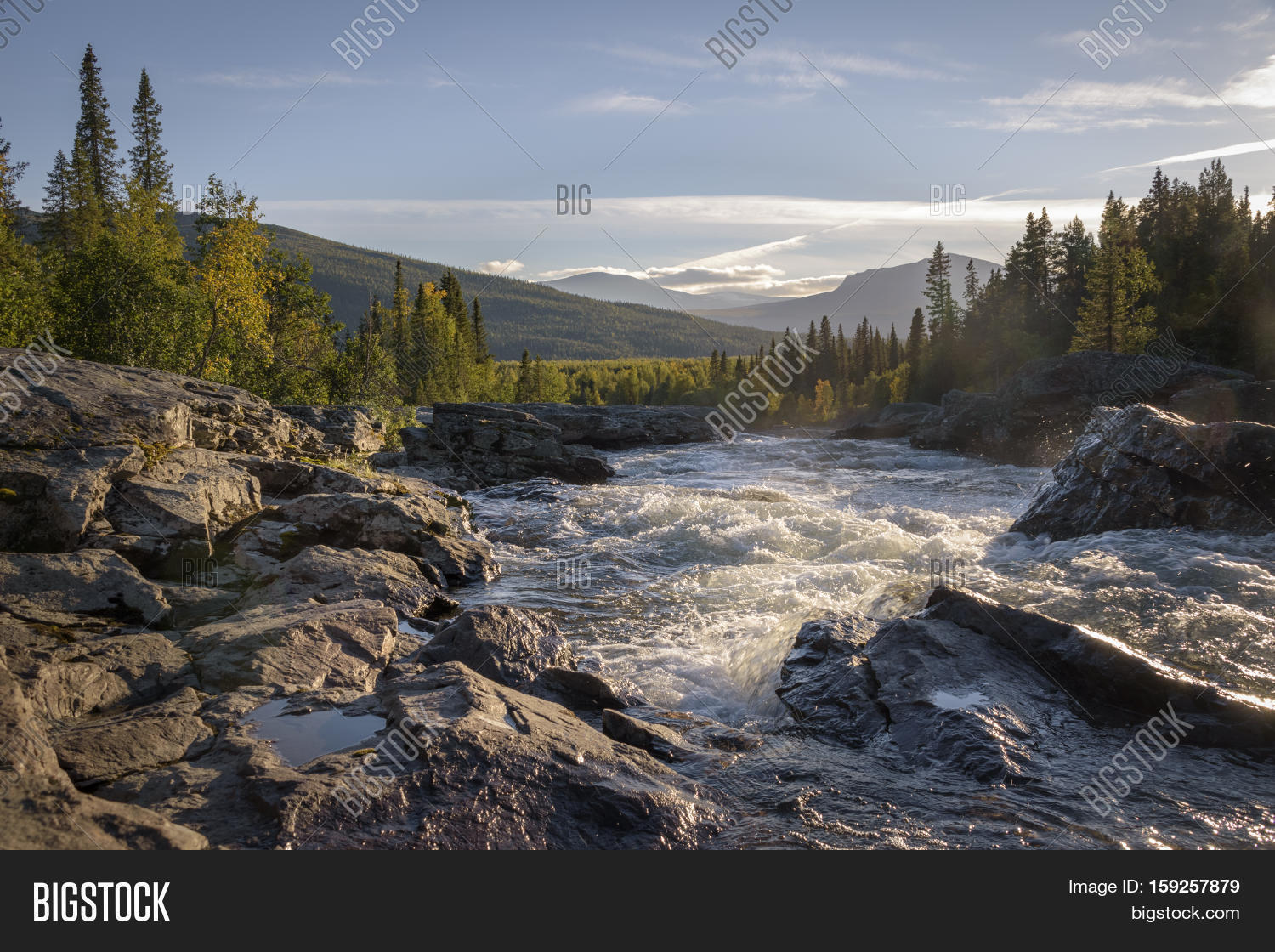 Golden Light Shining Image & Photo (Free Trial) | Bigstock