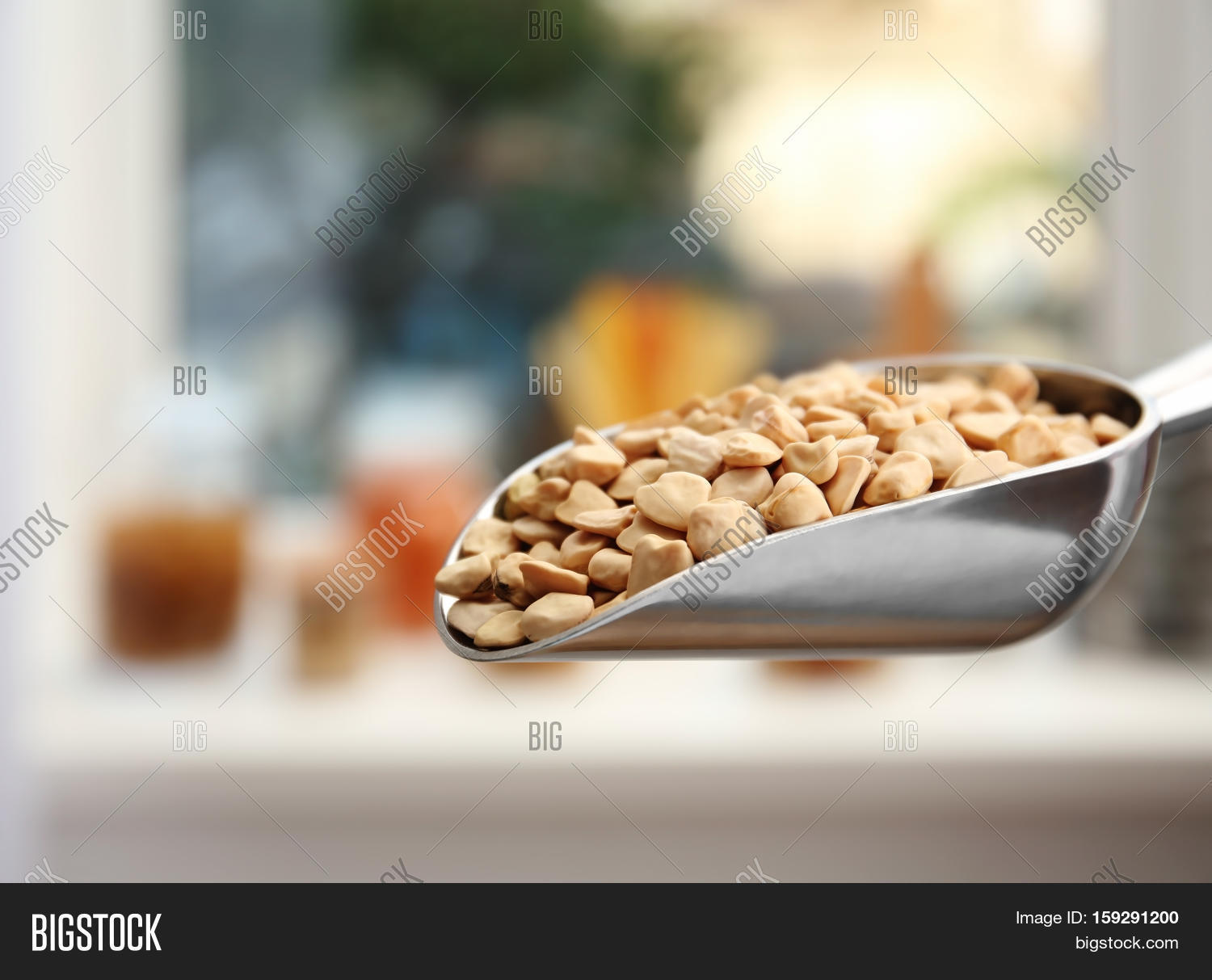 Chickling Vetch Metal Image & Photo (Free Trial) | Bigstock