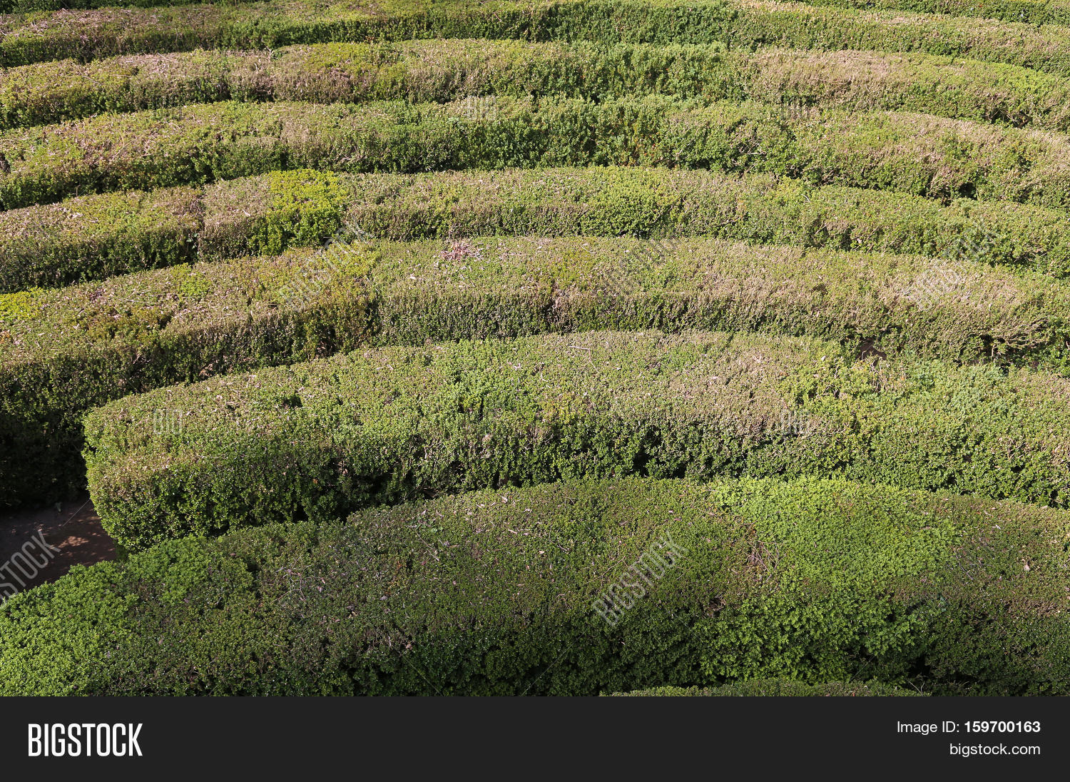 Aerial View Intricate Image & Photo (Free Trial) | Bigstock