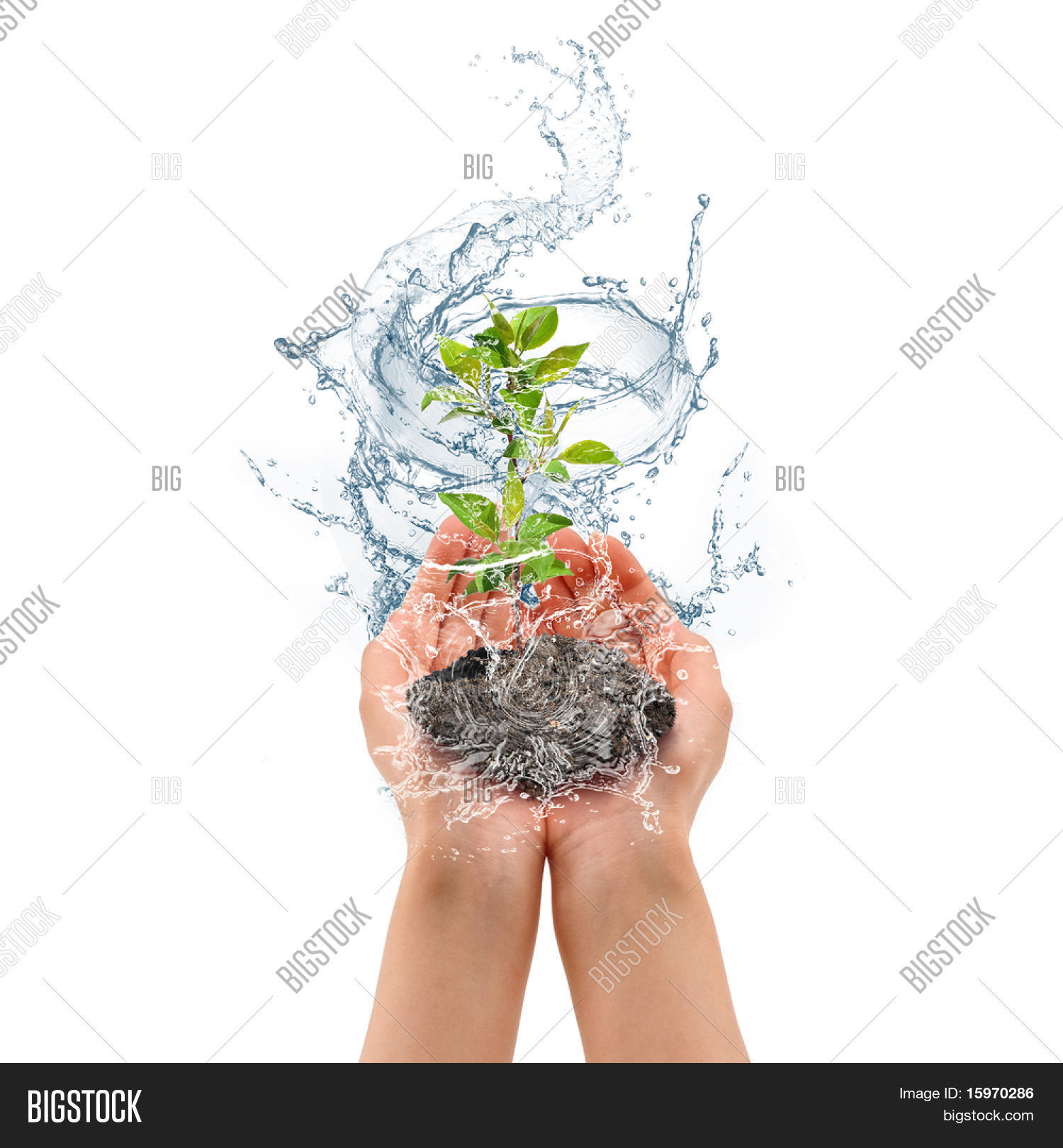 Young Sprout Human Image & Photo (Free Trial) | Bigstock