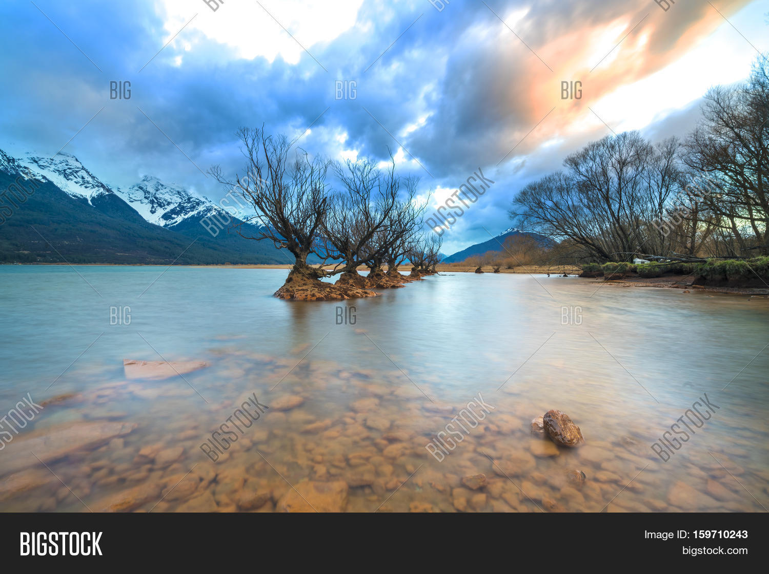 Famous Willow Trees Image & Photo (Free Trial) | Bigstock