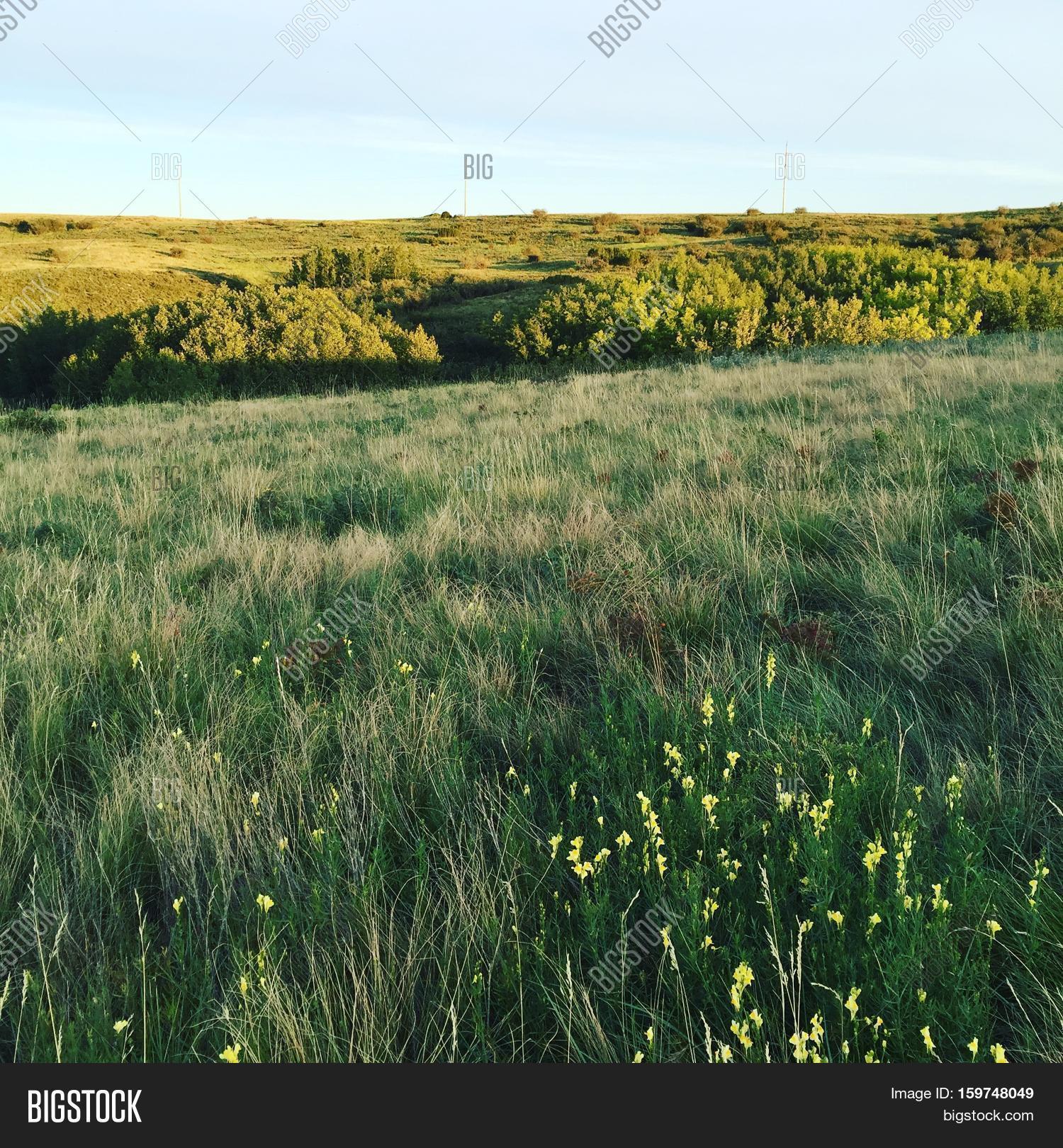 Landscape Lush Image & Photo (Free Trial) | Bigstock