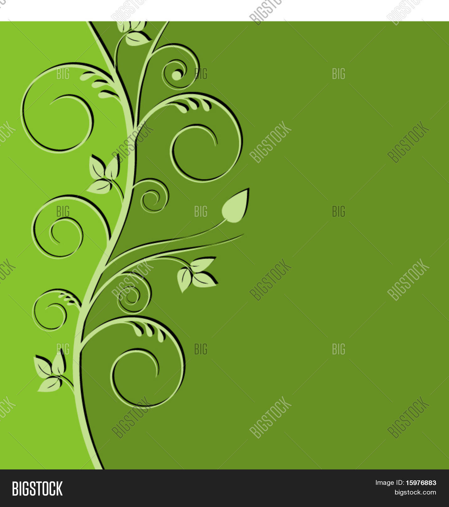 Coil Vine Border Vector & Photo (Free Trial) | Bigstock
