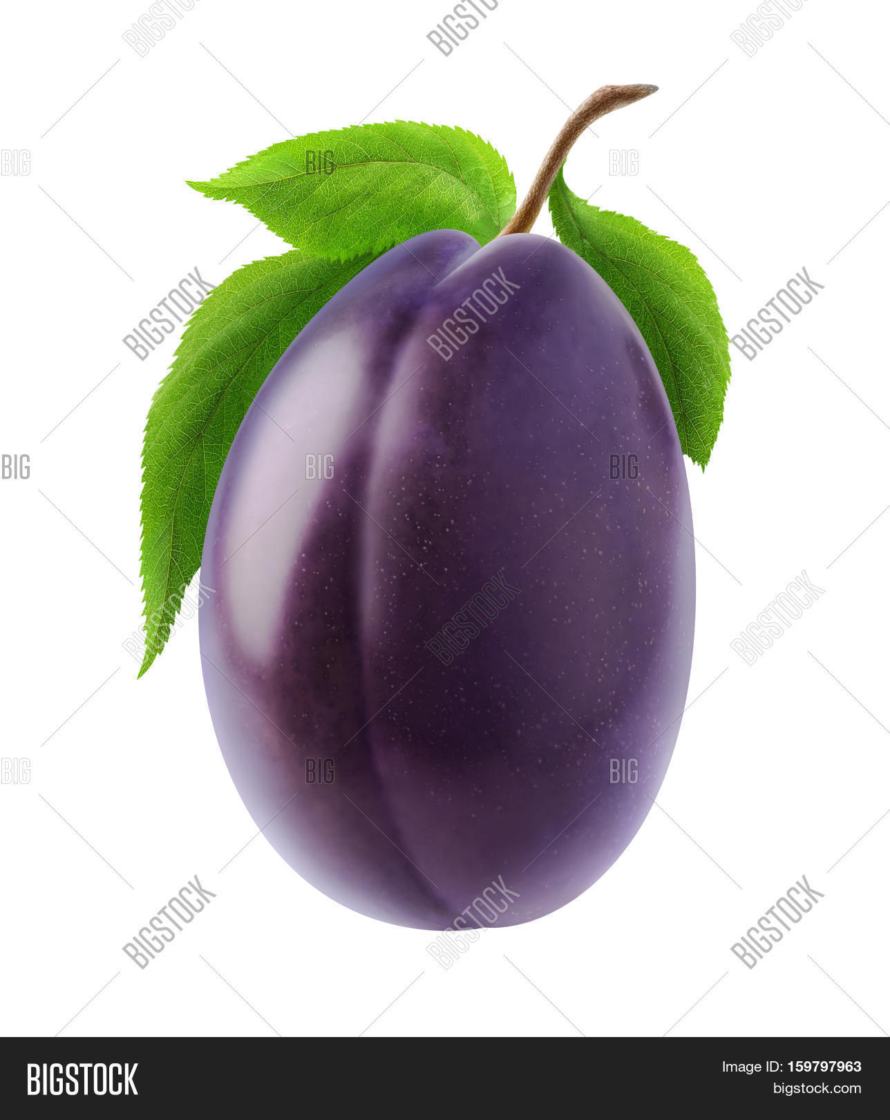 Isolated Blue Plum Image & Photo (Free Trial) | Bigstock