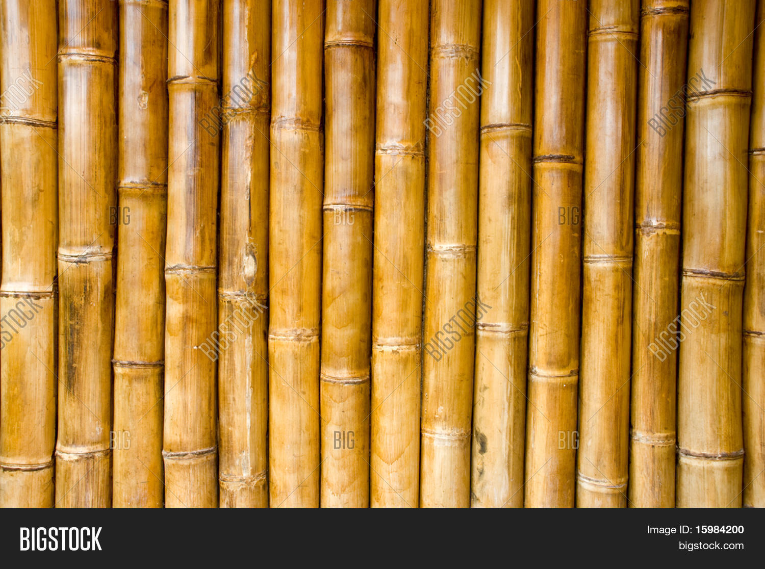 Bamboo Texture Image & Photo (Free Trial) | Bigstock