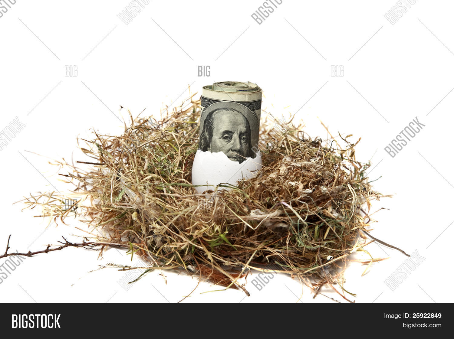 Financial Nest Egg Image & Photo (Free Trial) | Bigstock