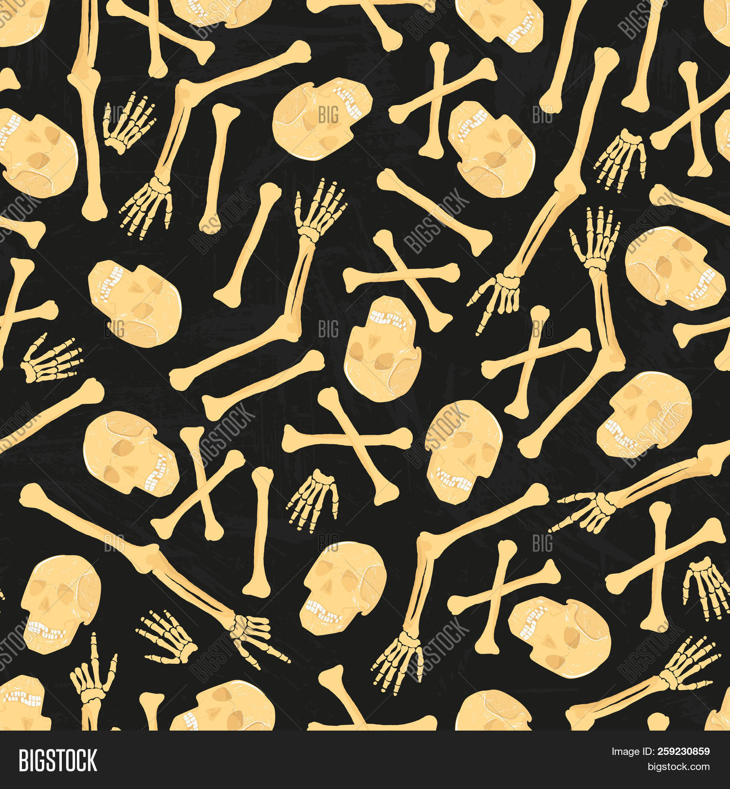 Human Skeleton Image & Photo (Free Trial) | Bigstock