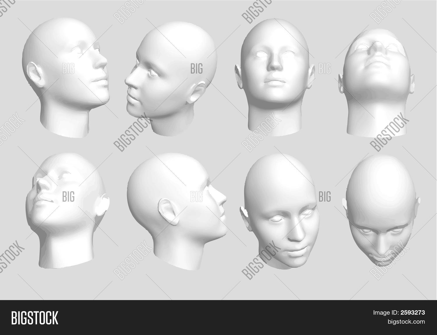 Young Woman Head Vector & Photo (Free Trial) | Bigstock