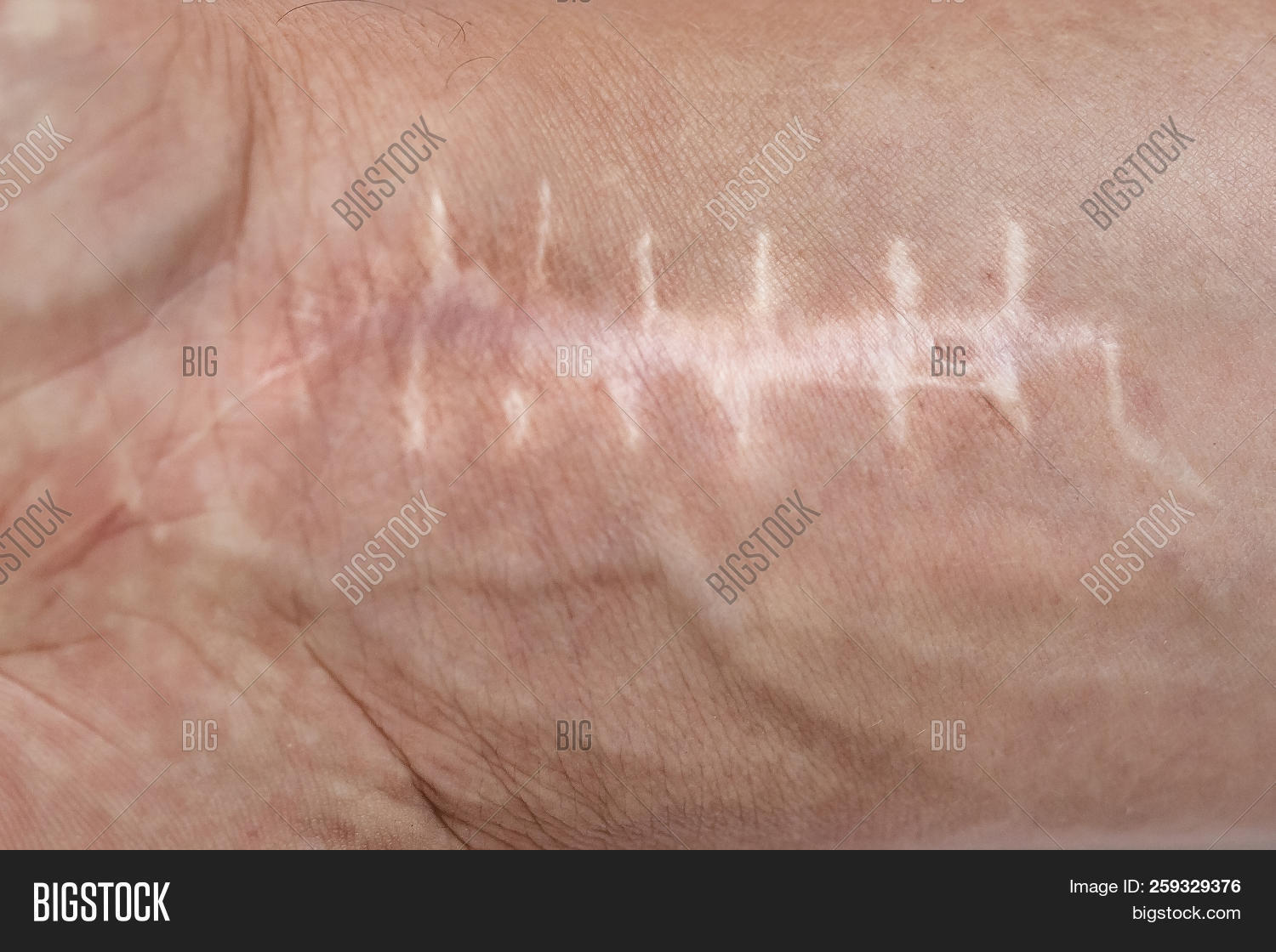 : изображения и фото (бесплатная пробная версия) | Bigstock