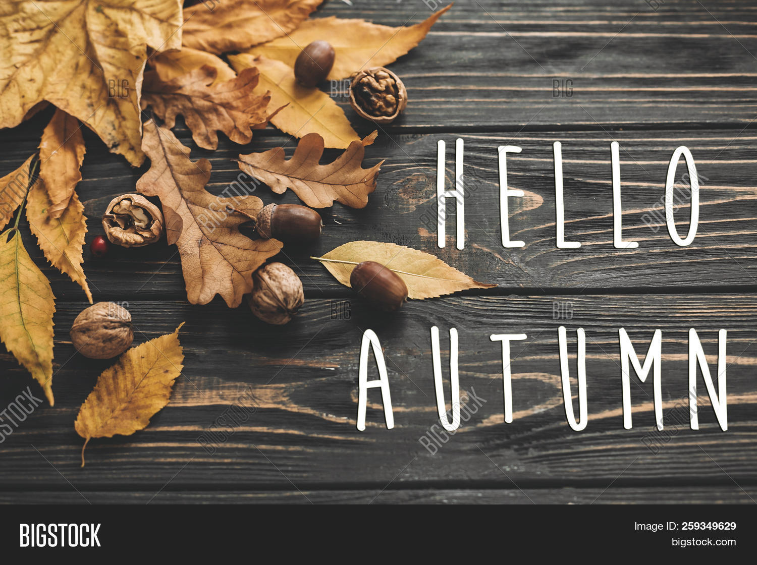 Hello Autumn Text. Image & Photo (Free Trial) | Bigstock