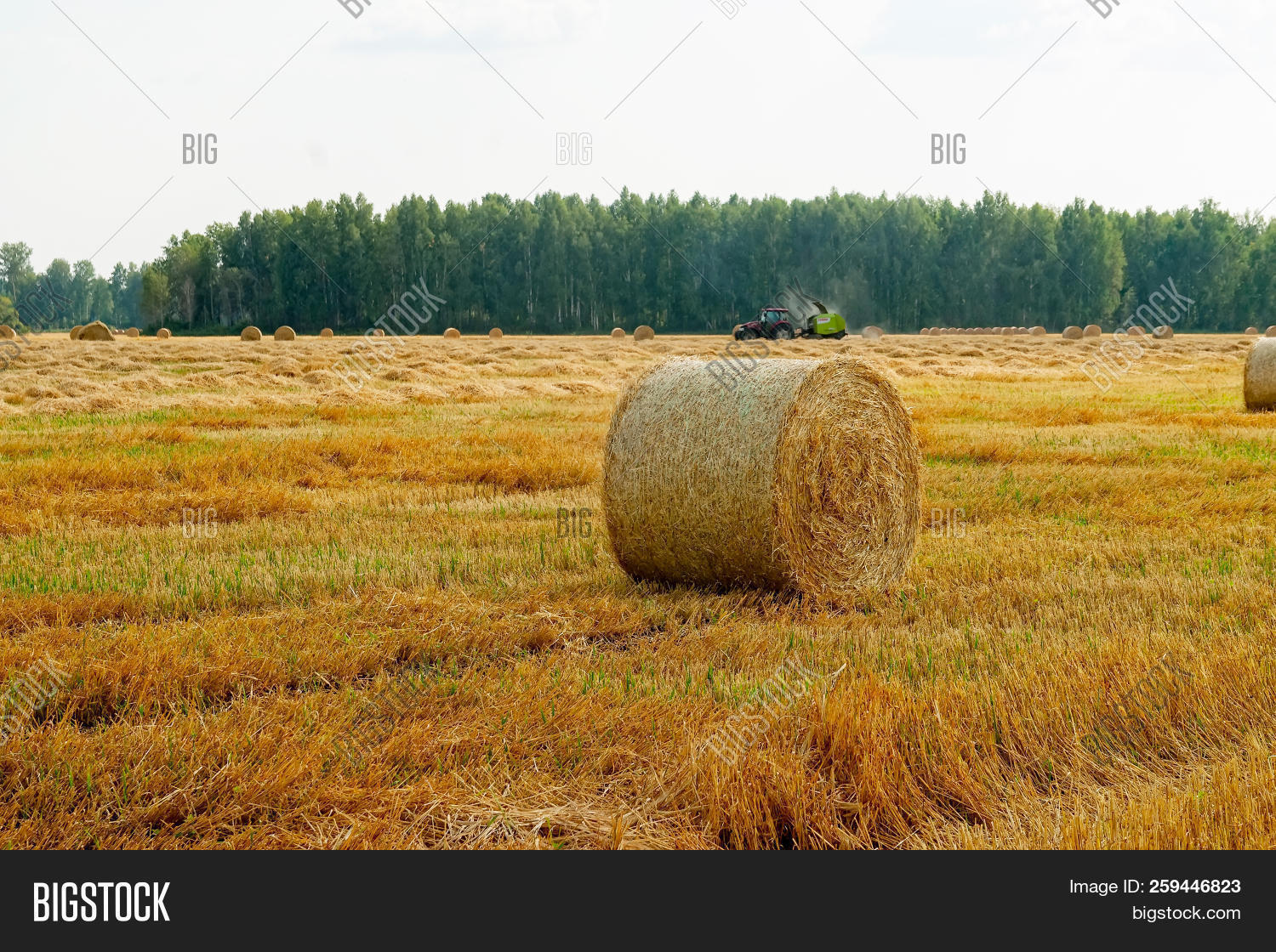 Hay Bale. Agriculture Image & Photo (Free Trial) | Bigstock