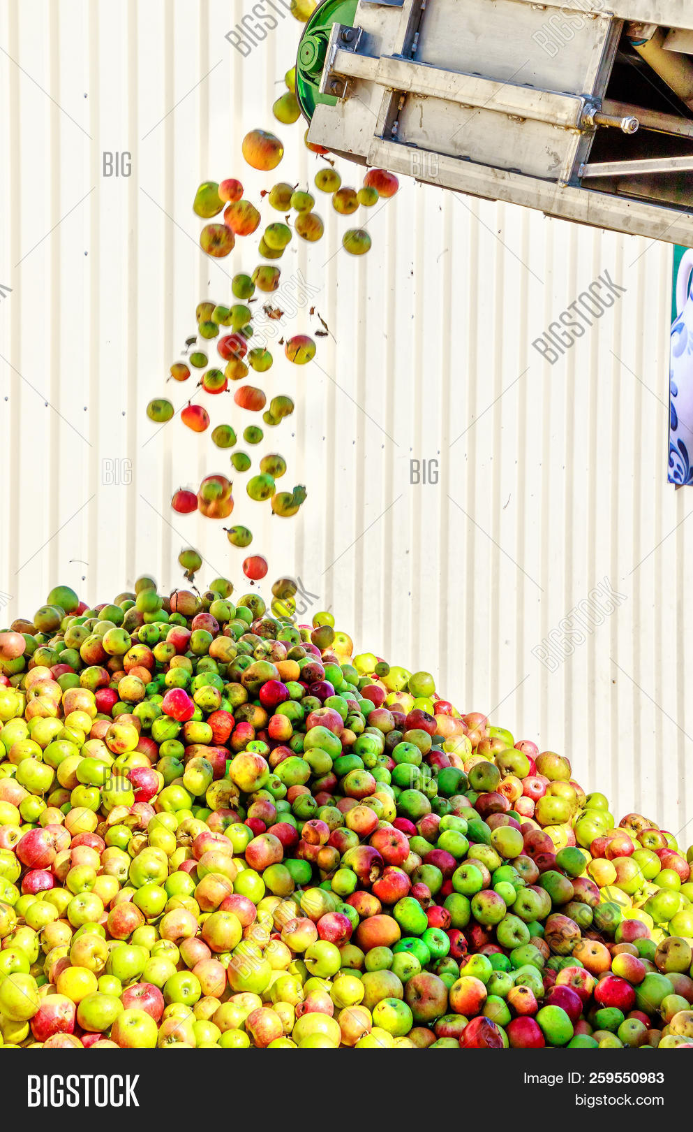 Apples Falling Image & Photo (Free Trial) | Bigstock
