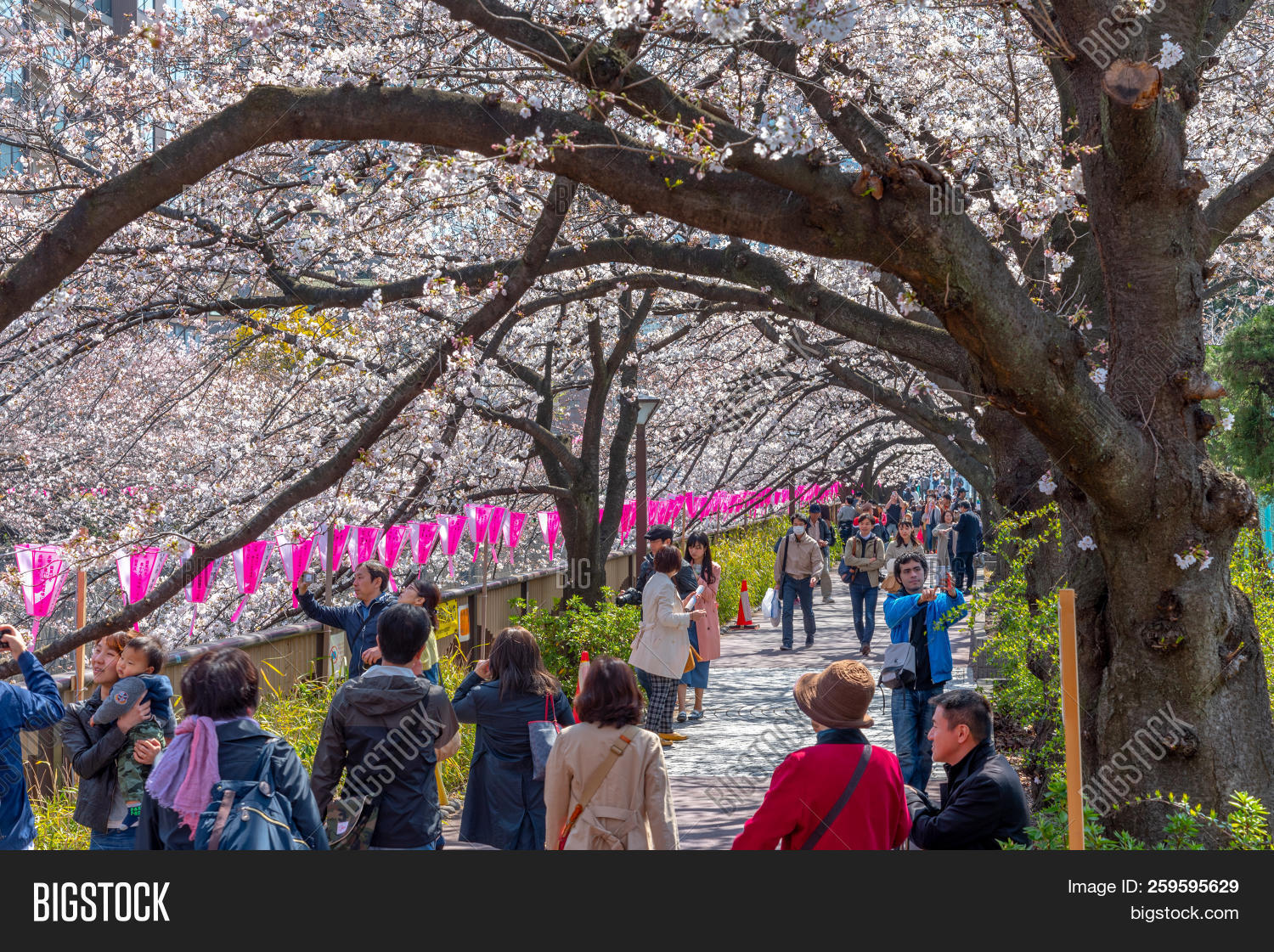 Meguro, Tokyo, Japan Image & Photo (Free Trial) | Bigstock