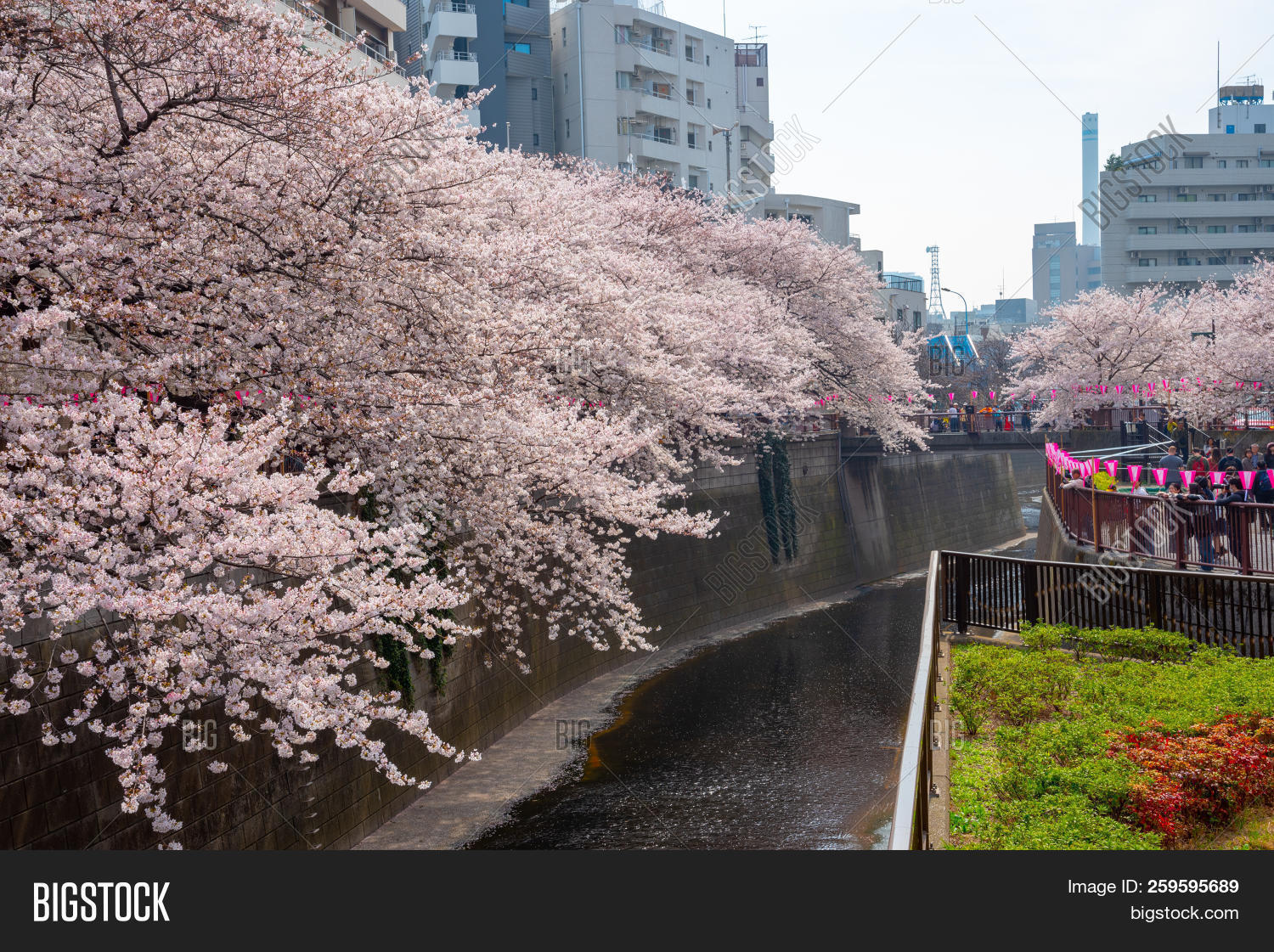 Meguro, Tokyo, Japan Image & Photo (Free Trial) | Bigstock