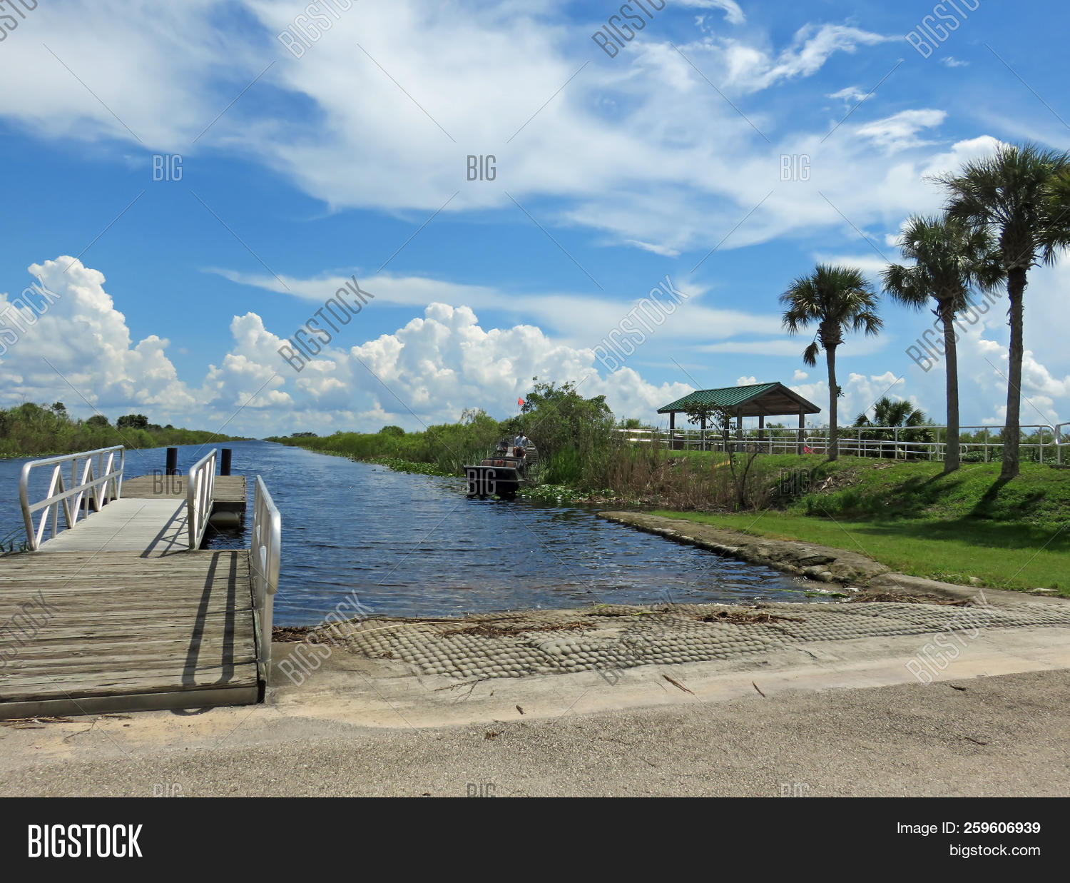 Alligator Alley -75, Image & Photo (Free Trial) | Bigstock