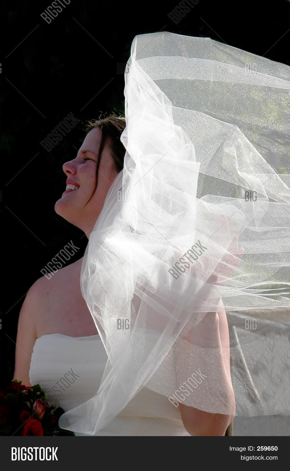 Wind Beneath My Veil Image & Photo (Free Trial) | Bigstock