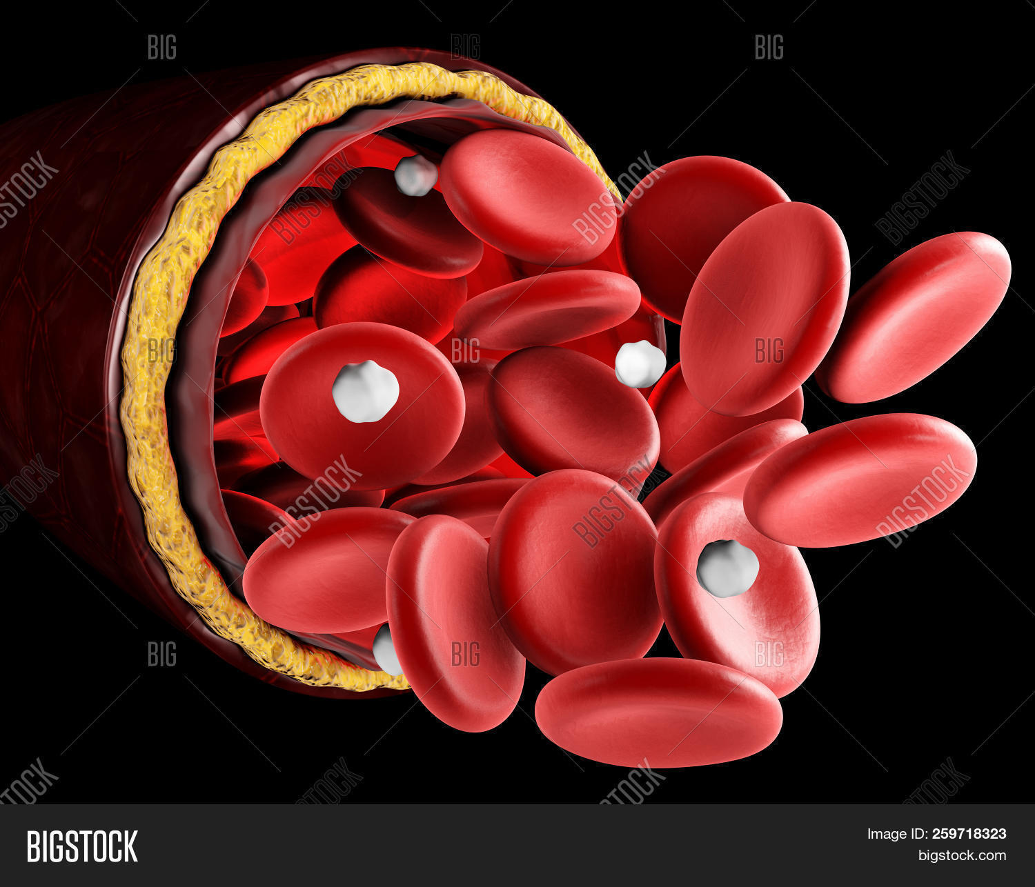 3d Illustration Human Image & Photo (Free Trial) | Bigstock