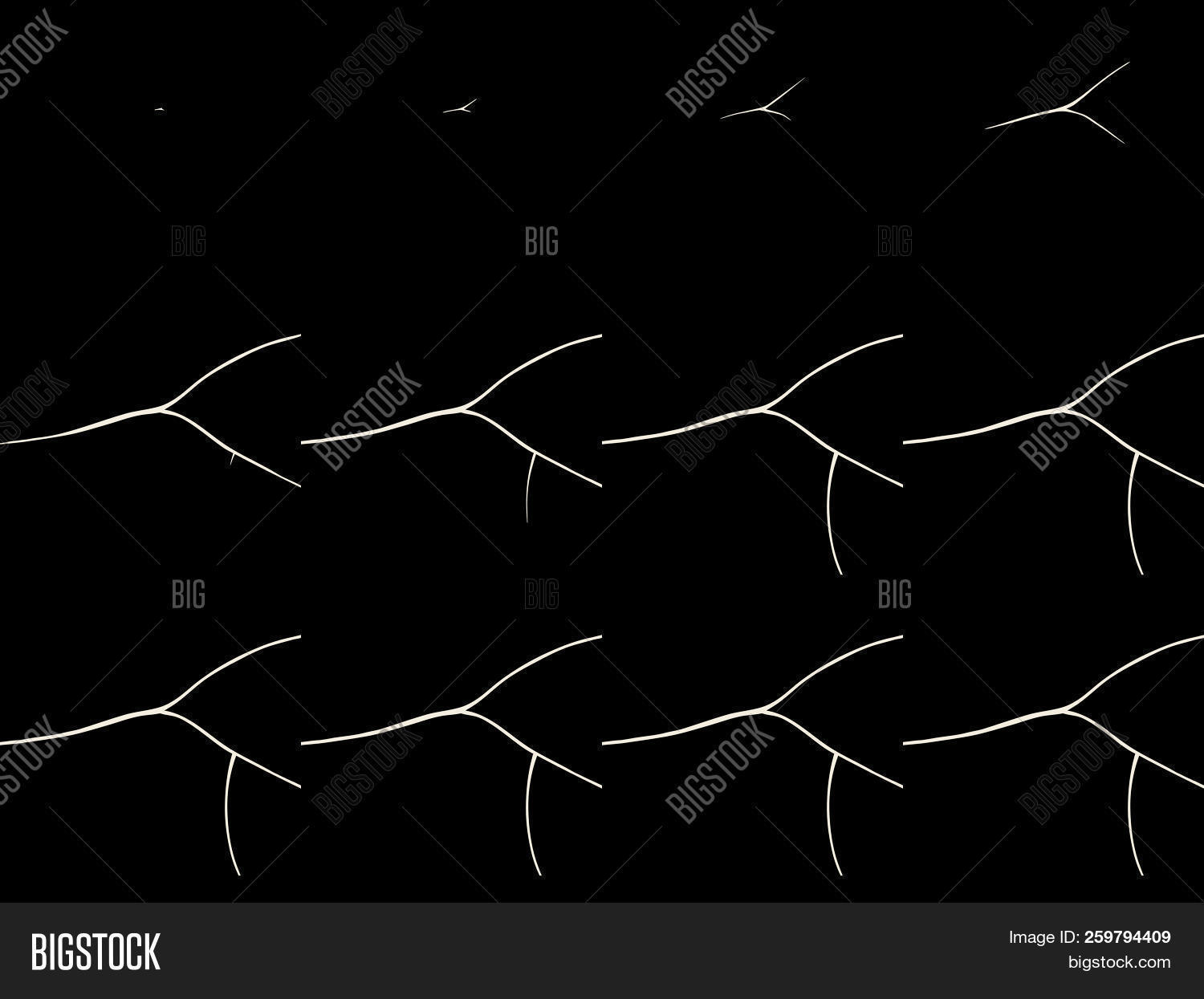 Sprite Sheets Glass Image & Photo (Free Trial) | Bigstock