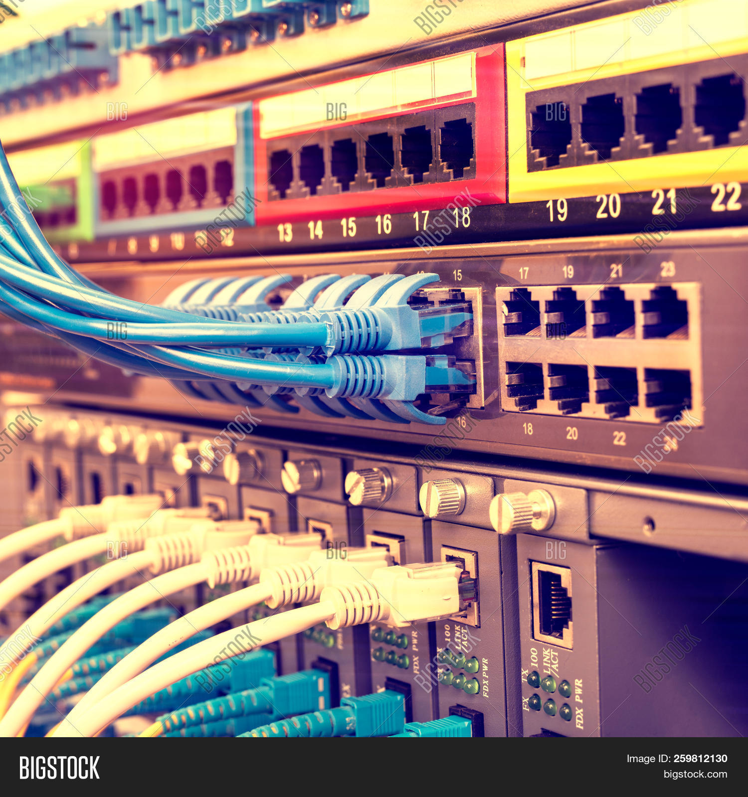 Ethernet Cable On Image & Photo (Free Trial) | Bigstock