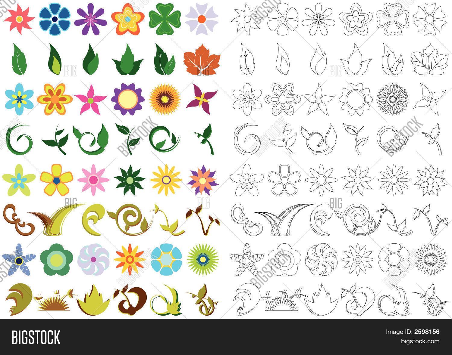 Flower Shapes Vector & Photo (Free Trial) | Bigstock