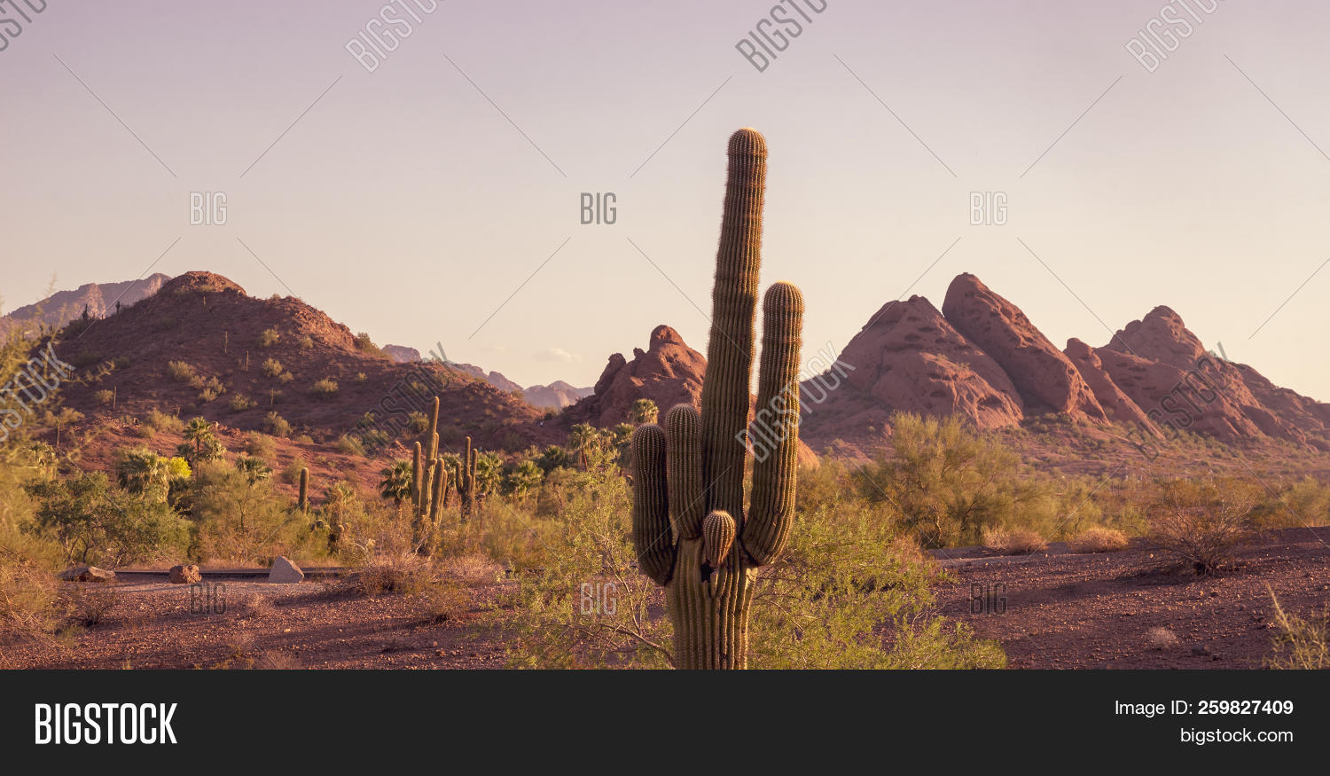 Arizona Papago Park Image & Photo (Free Trial) | Bigstock
