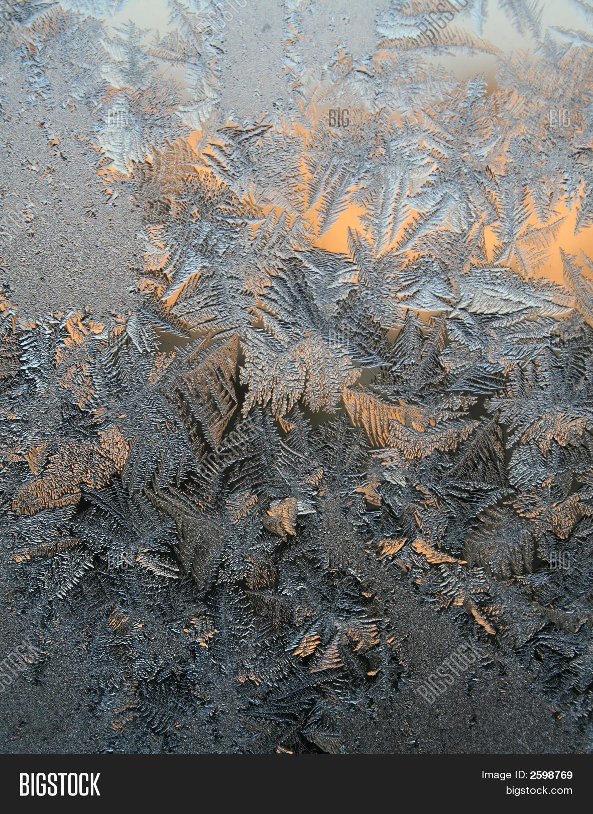 Frost Patterns Image & Photo (Free Trial) | Bigstock