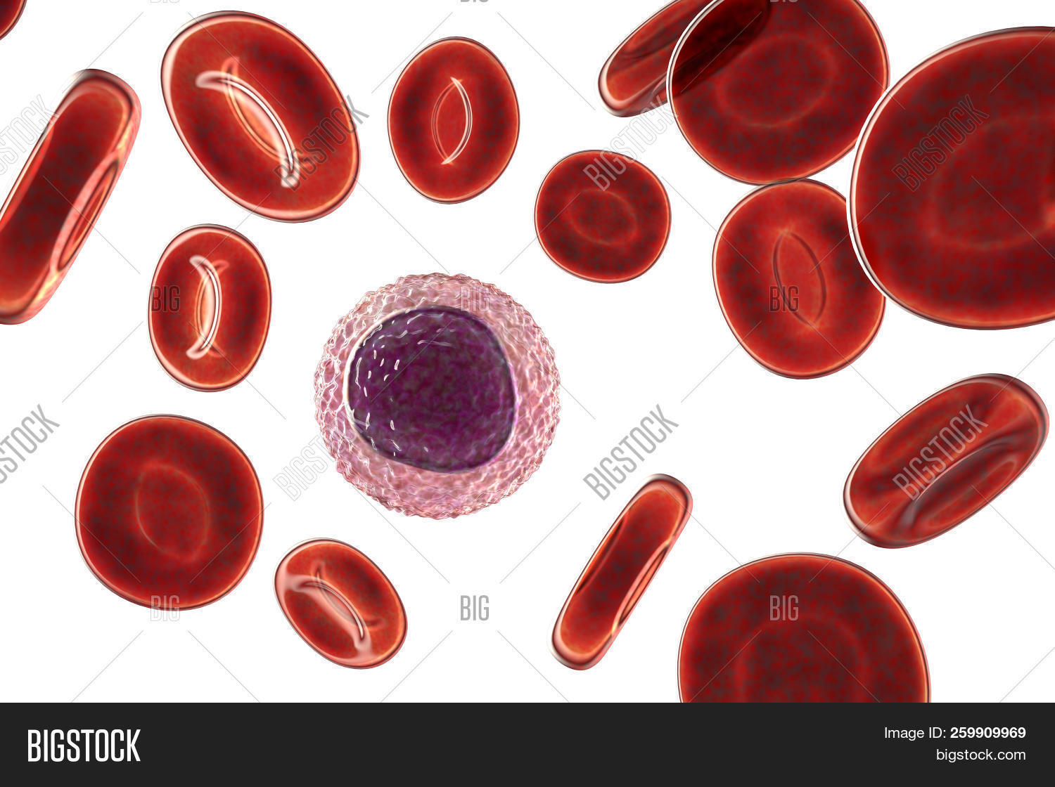 Lymphocyte Surrounded Image & Photo (Free Trial) | Bigstock